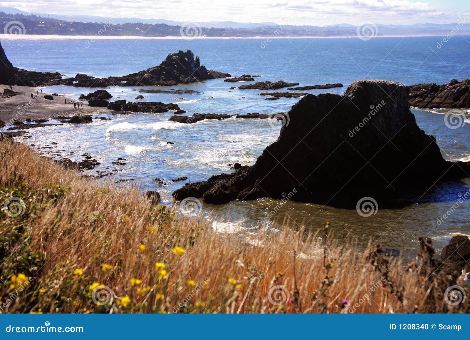 Oregon Coast - Newport stock photo. Image of beach, vacation - 1208340