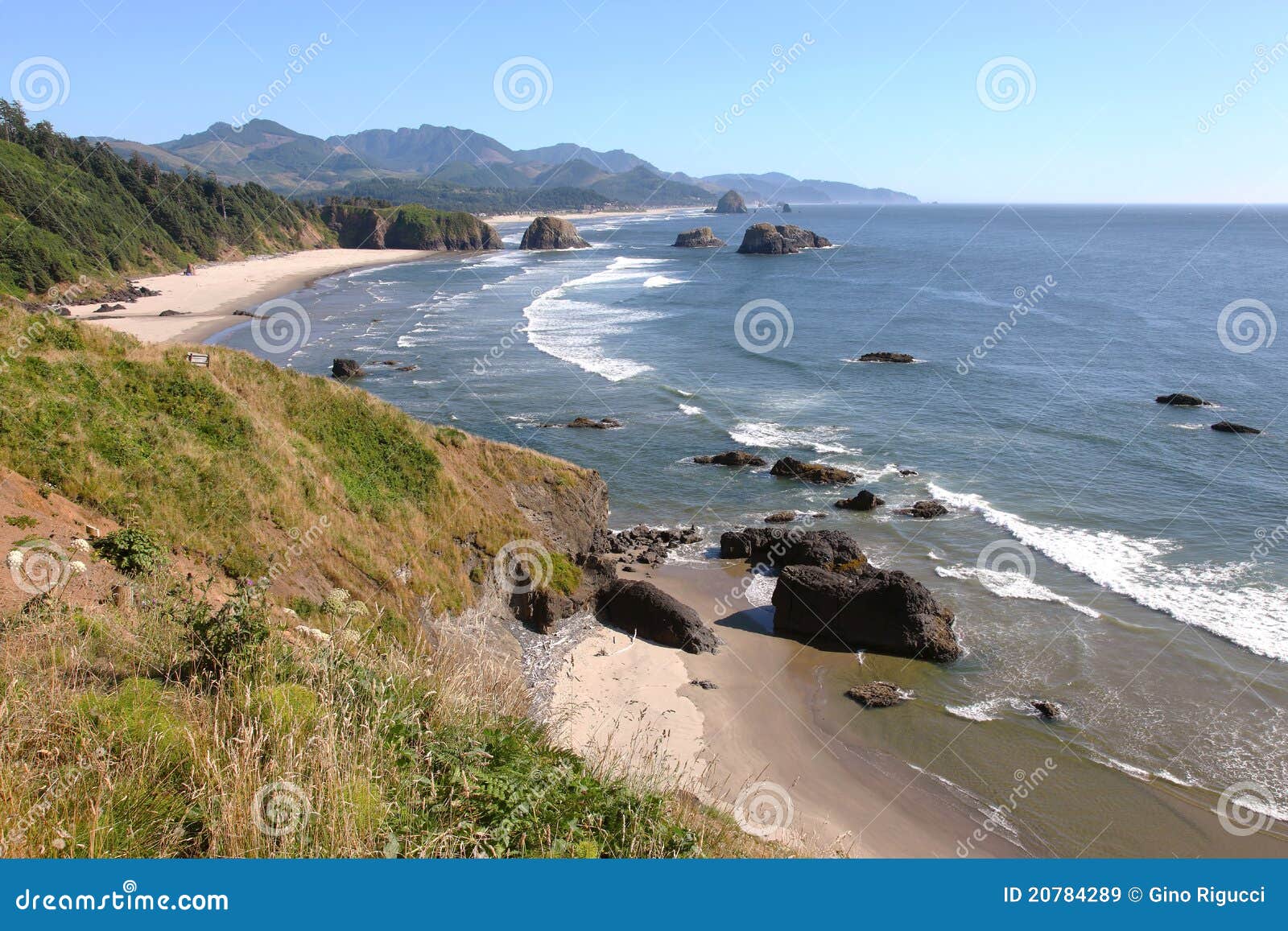 Oregon Coast Pacific Northwest Cliffs & Beaches. Stock Image - Image of ...