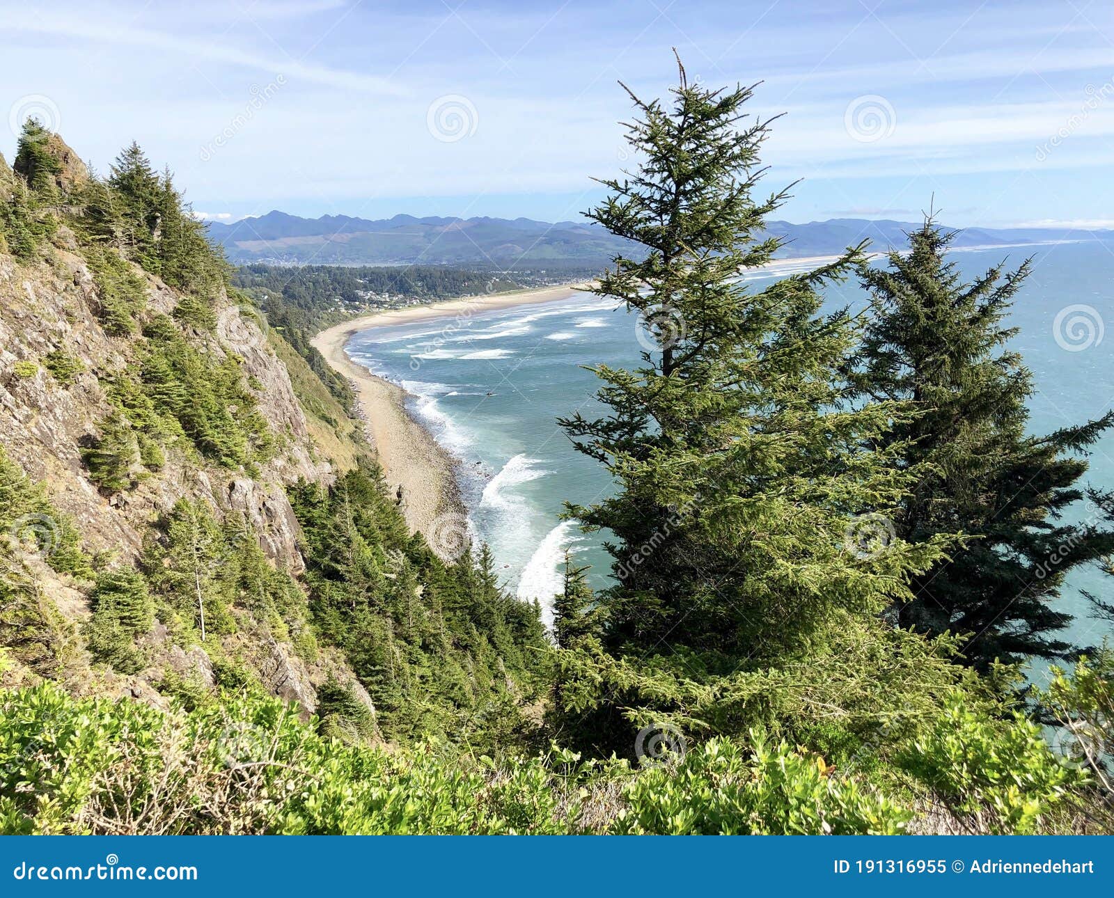 The Oregon Coast, Pine Trees and Beach Stock Image - Image of waterfall ...