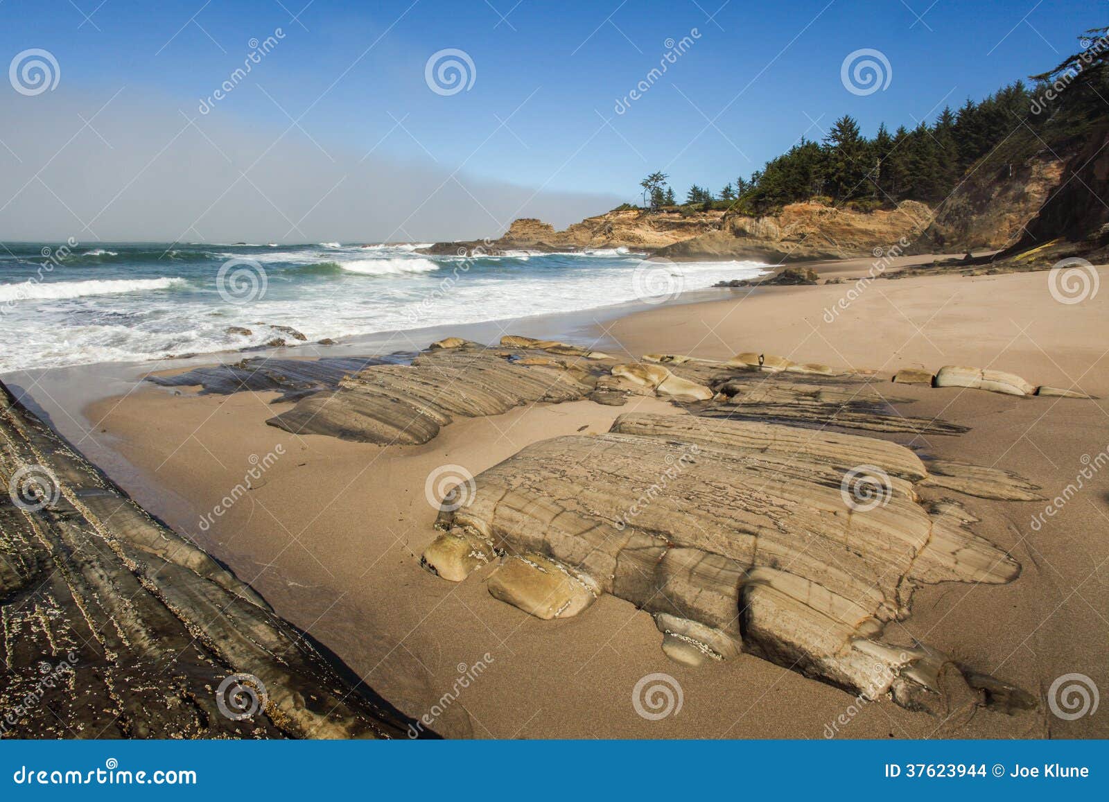Oregon coast portrait stock photo. Image of landscape - 37623944