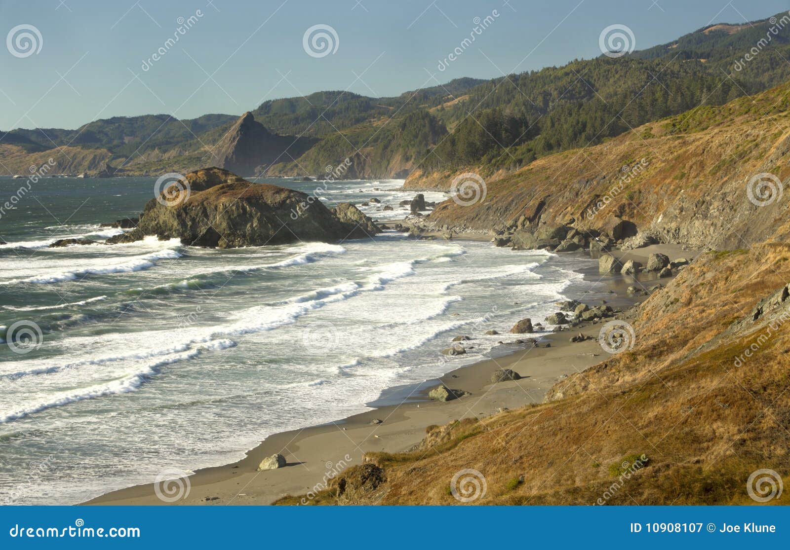 Oregon coast portraits stock image. Image of natural - 10908107