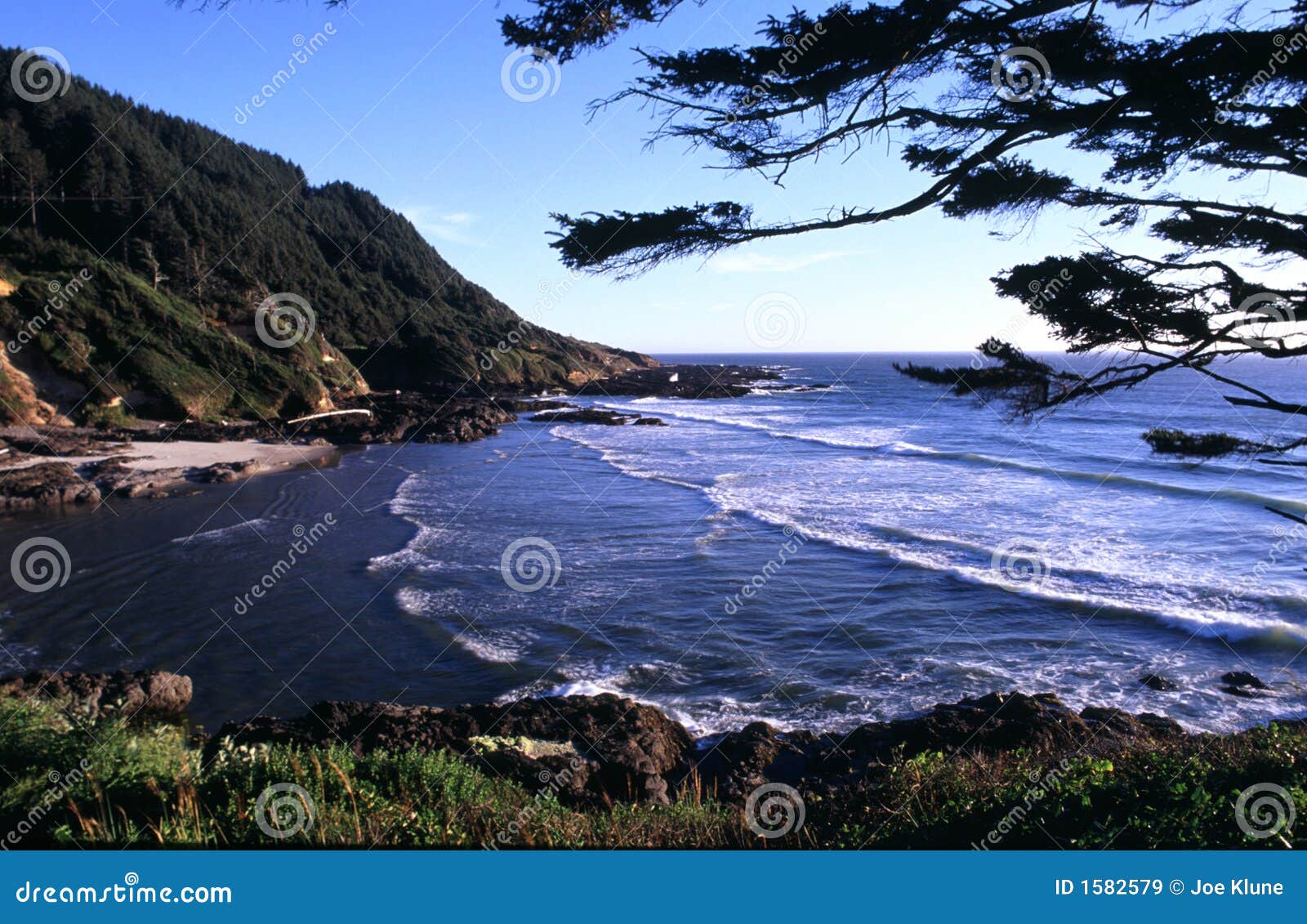 Oregon coast portraits stock image. Image of mountains - 1582579