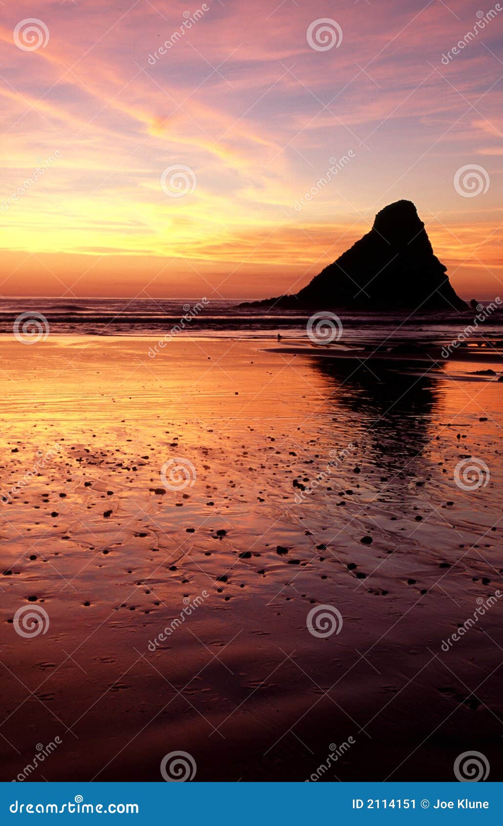 Oregon coast portraits stock image. Image of head, travel - 2114151