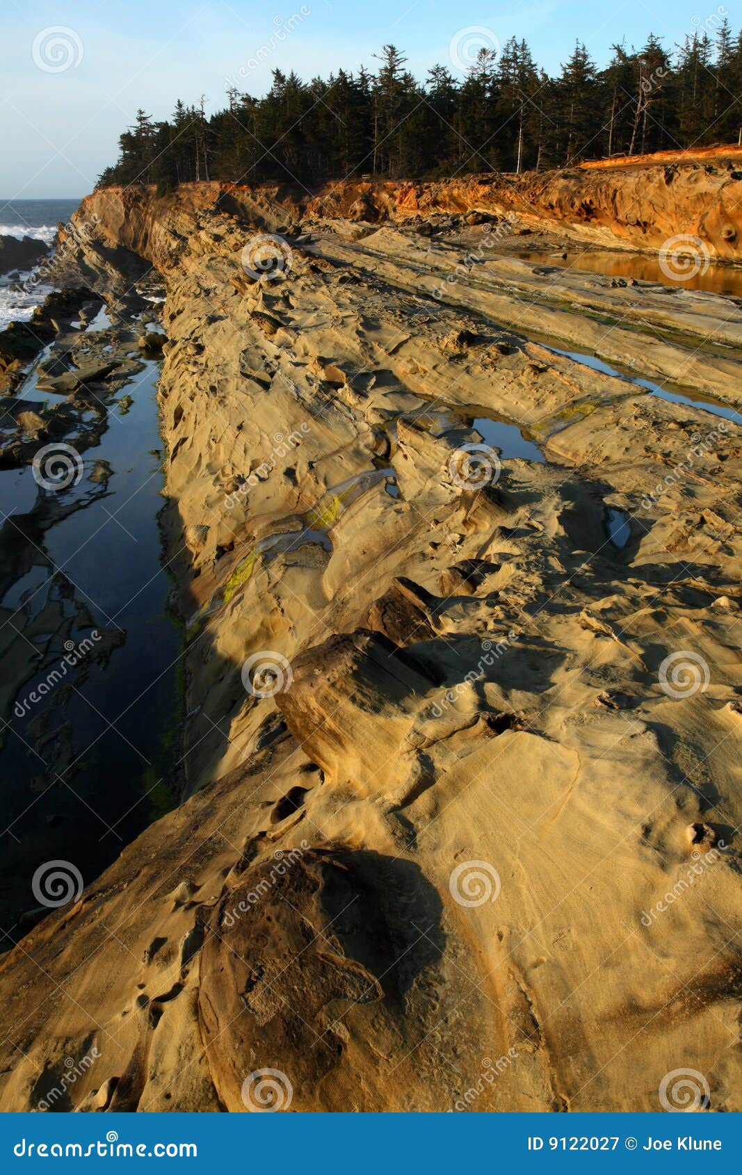 Oregon coast portraits stock image. Image of beautiful - 9122027