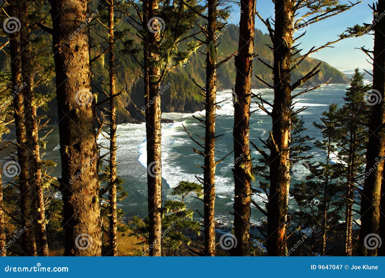 Oregon coast portraits stock image. Image of beach, cliffs - 9647047