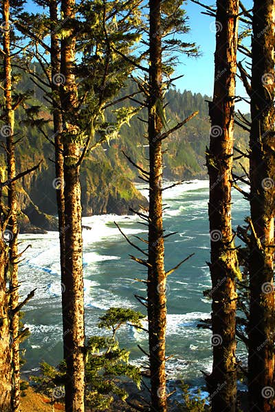 Oregon coast portraits stock photo. Image of surf, rocks - 9647056