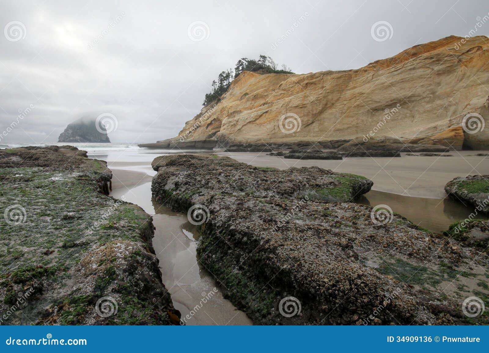 Oregon Coast Scene stock photo. Image of oregon, sand - 34909136