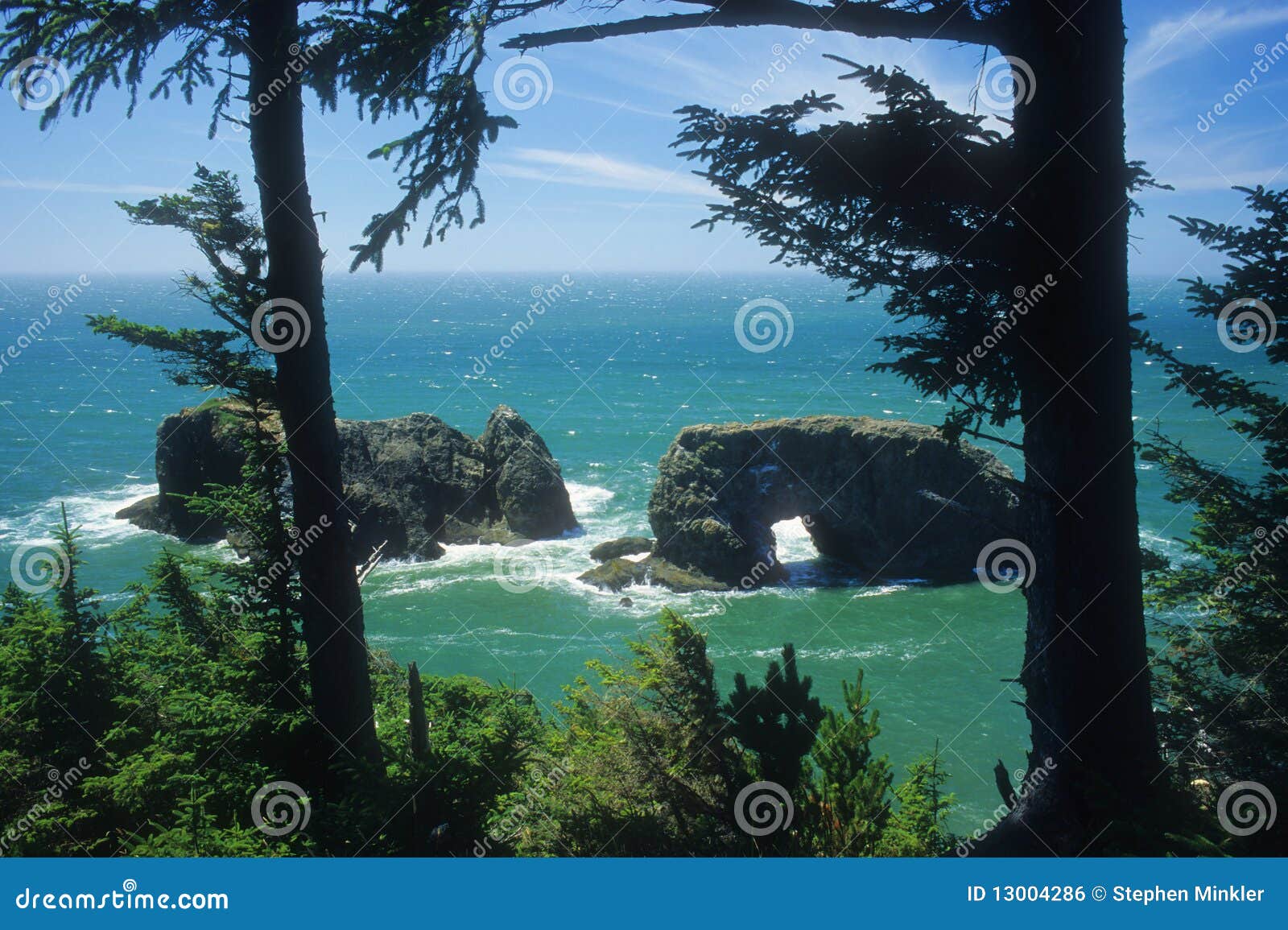 Oregon coast sea arch stock photo. Image of evergreen - 13004286