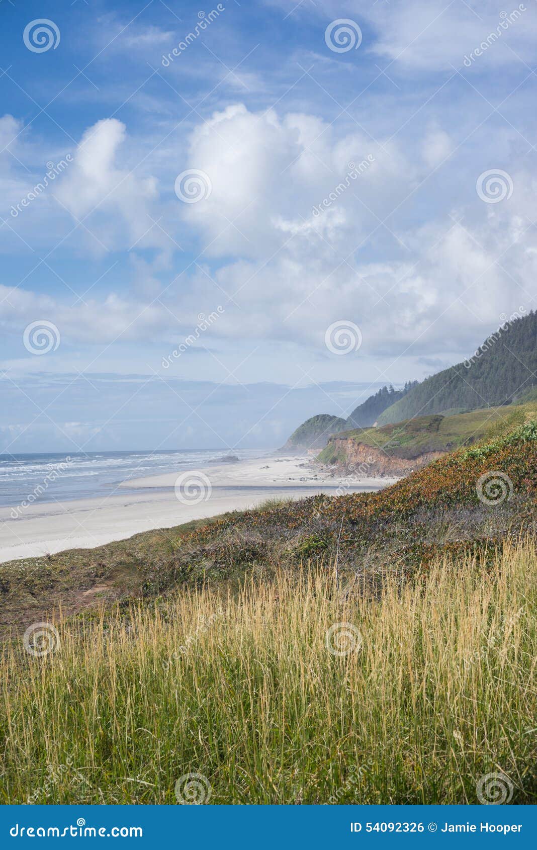 Oregon Coast spring stock photo. Image of oregon, lane - 54092326