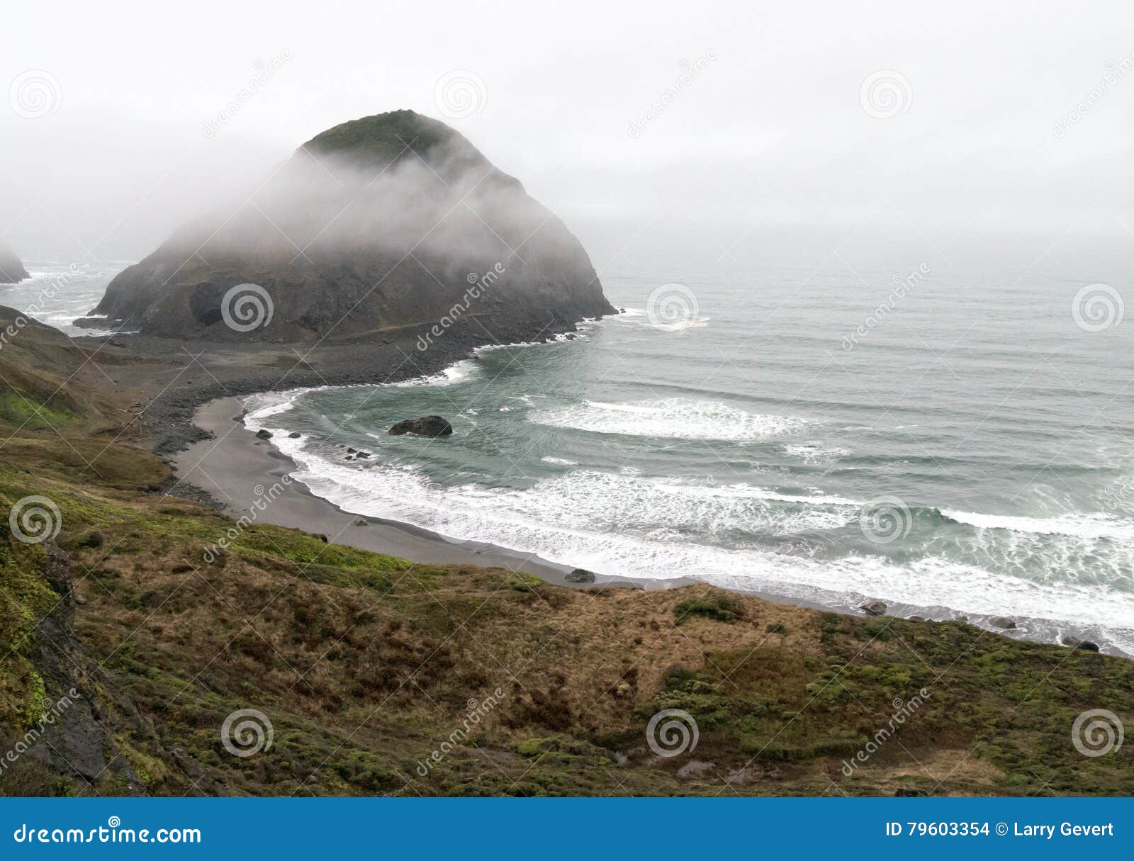 Oregon coast in a storm stock photo. Image of huge, froth - 79603354