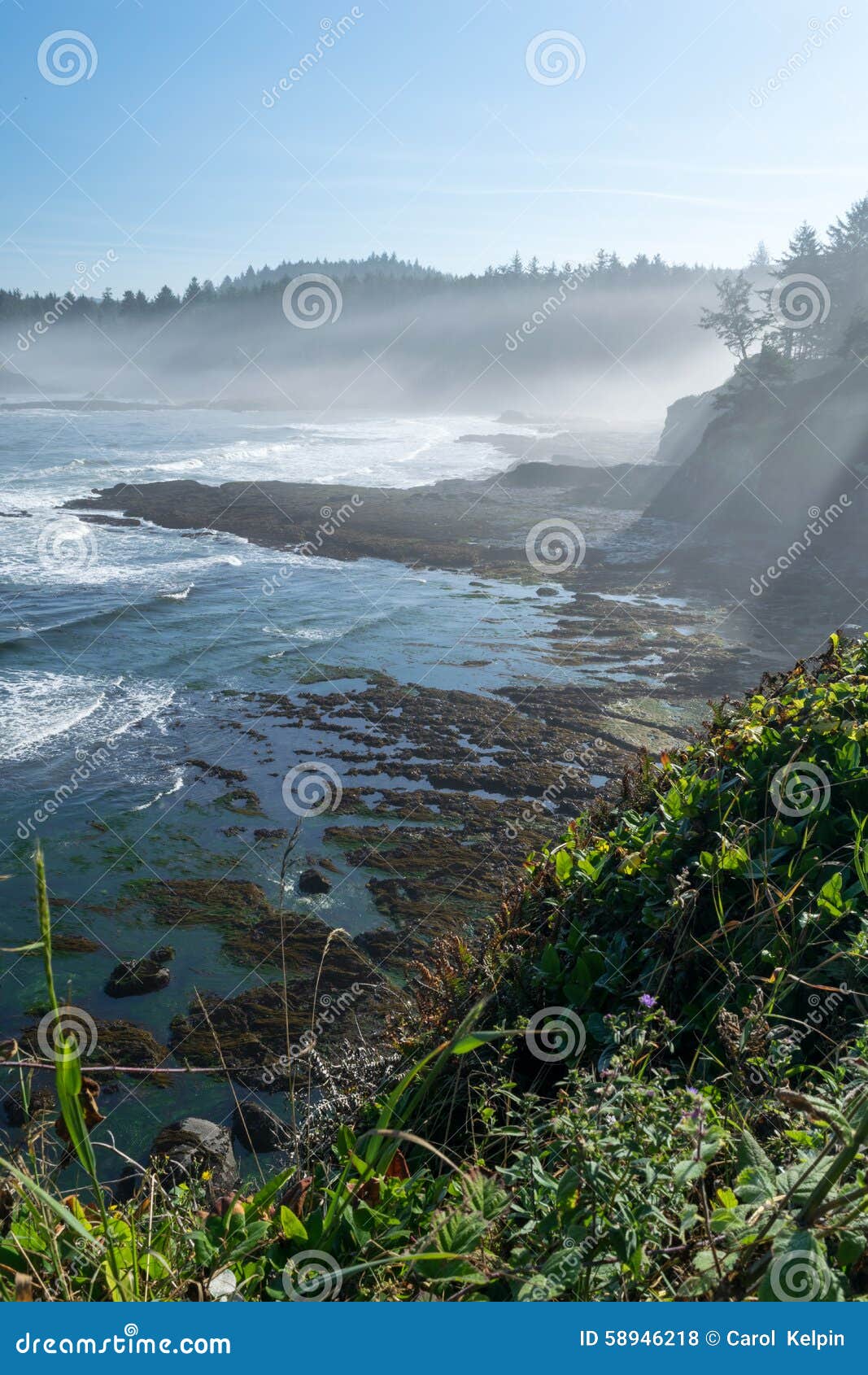 Oregon Coast View in the Fog Stock Photo - Image of view, rocks: 58946218