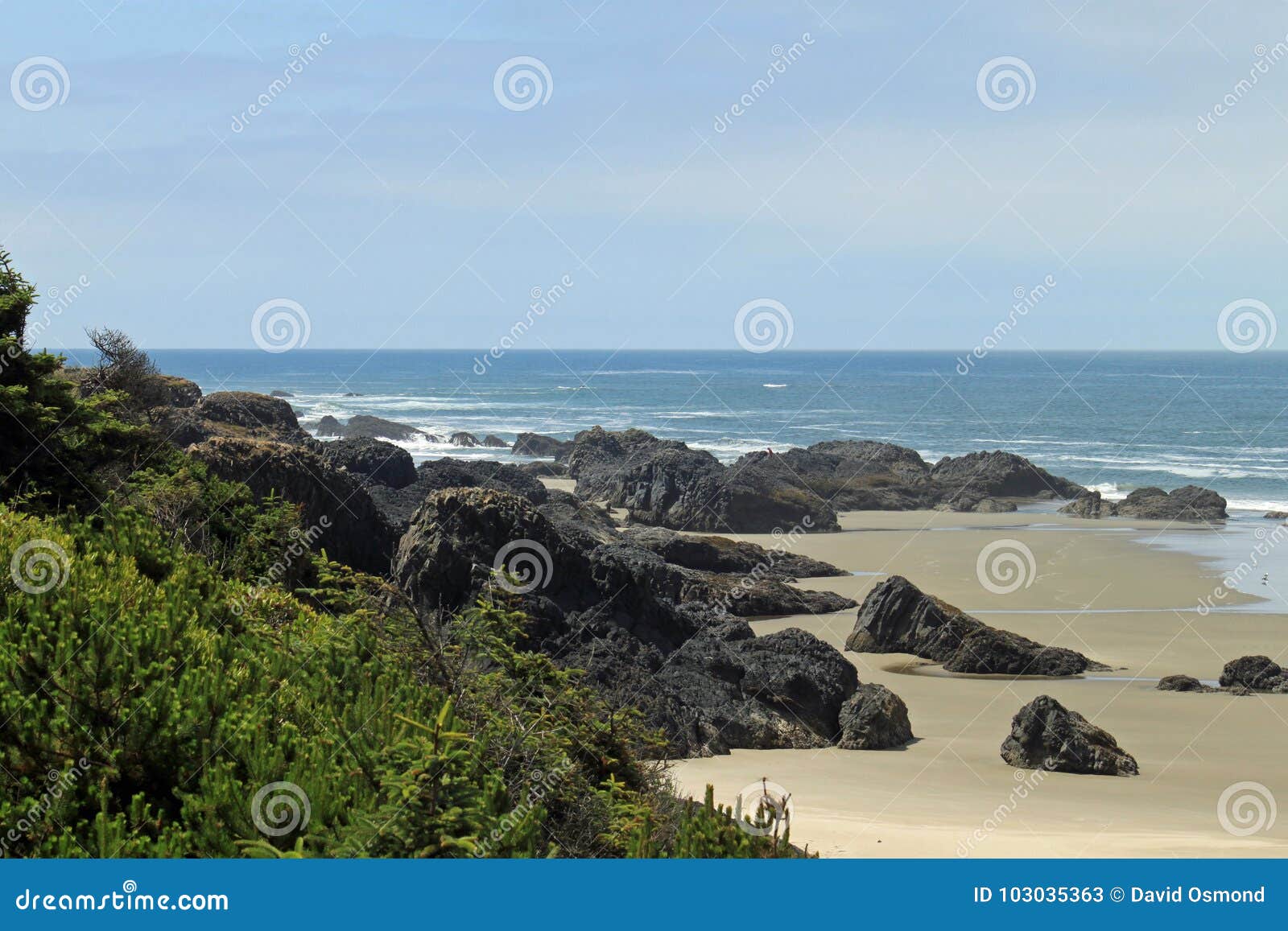 The Oregon Coast stock image. Image of travel, sand - 103035363
