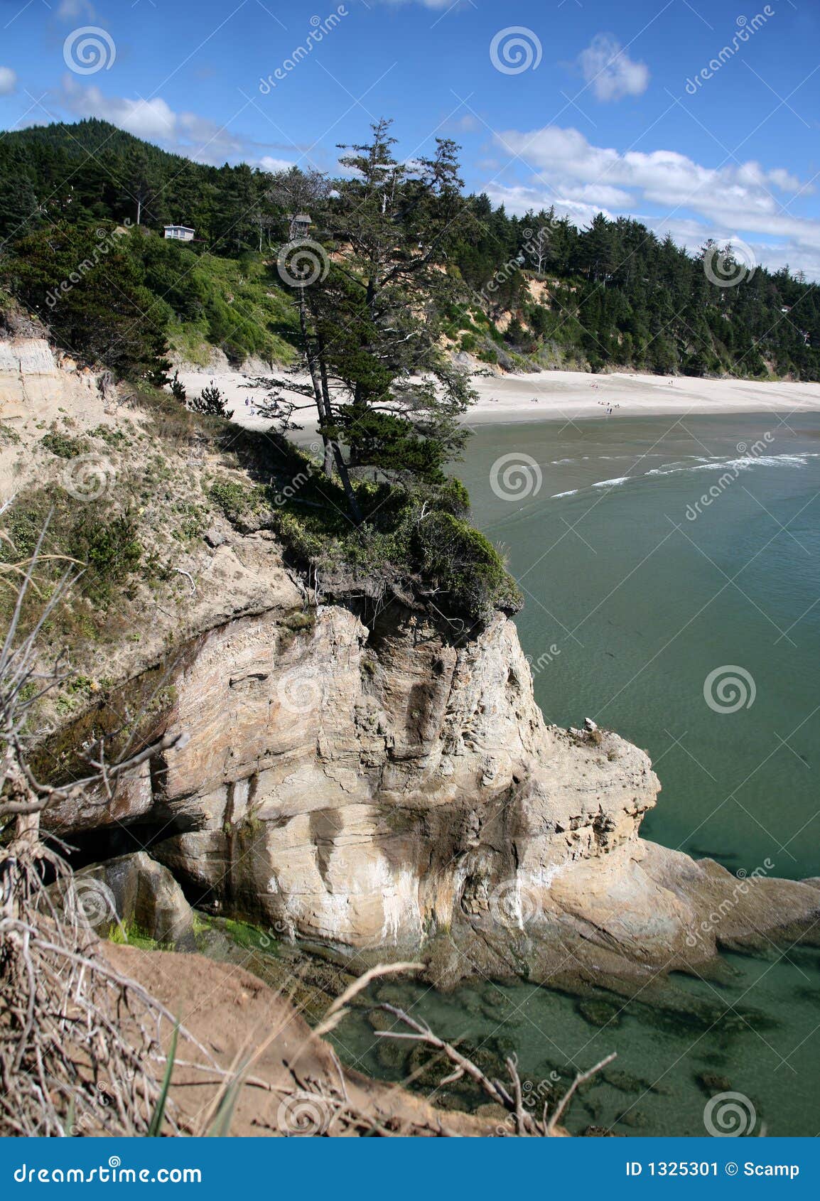 Oregon Coastline - Newport stock image. Image of seascape - 1325301