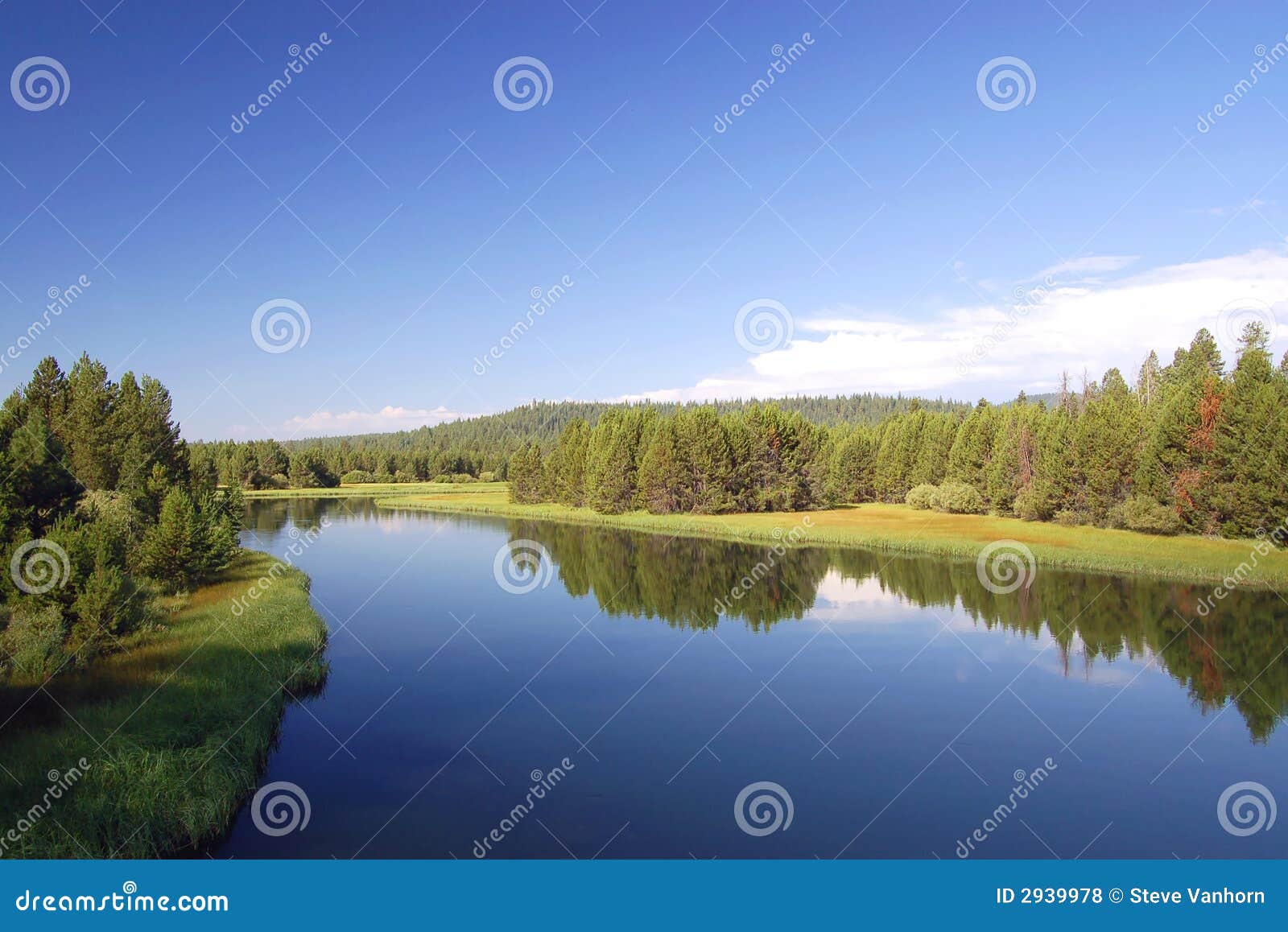 Oregon Country stock photo. Image of ecology, peaceful - 2939978