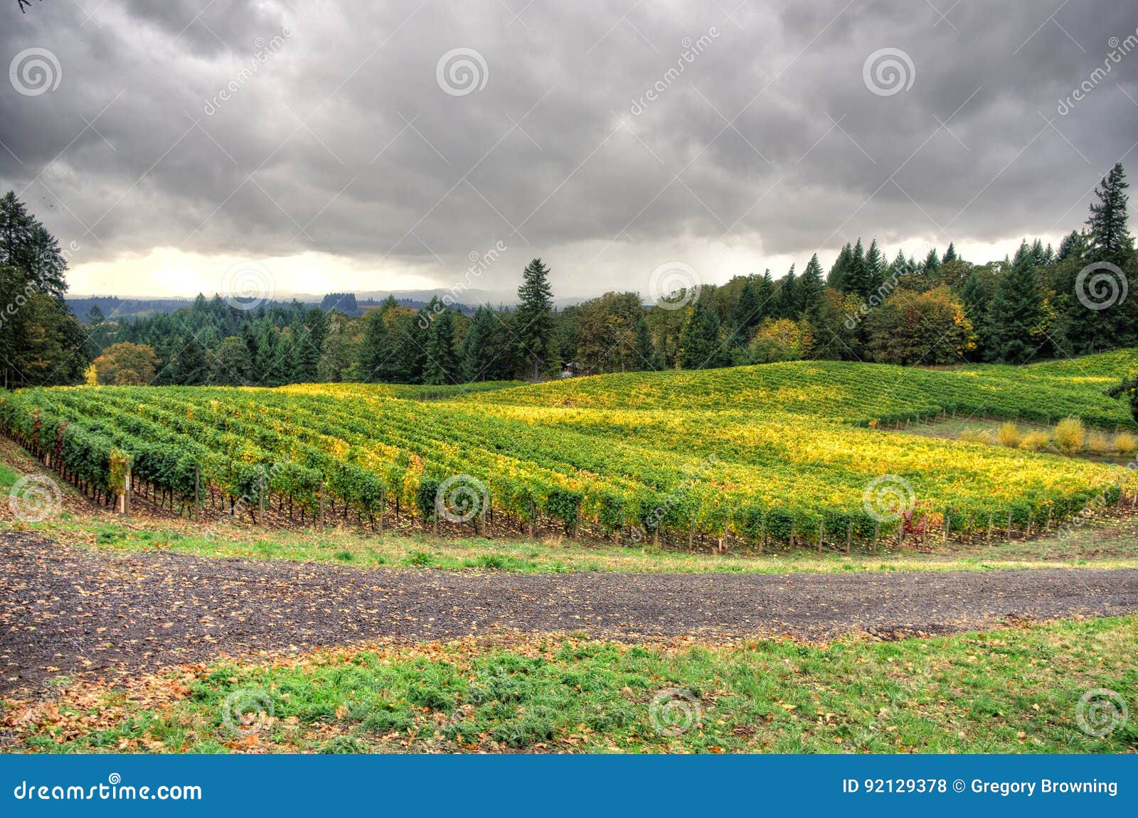 Oregon Countryside stock photo. Image of scenic, rural - 92129378