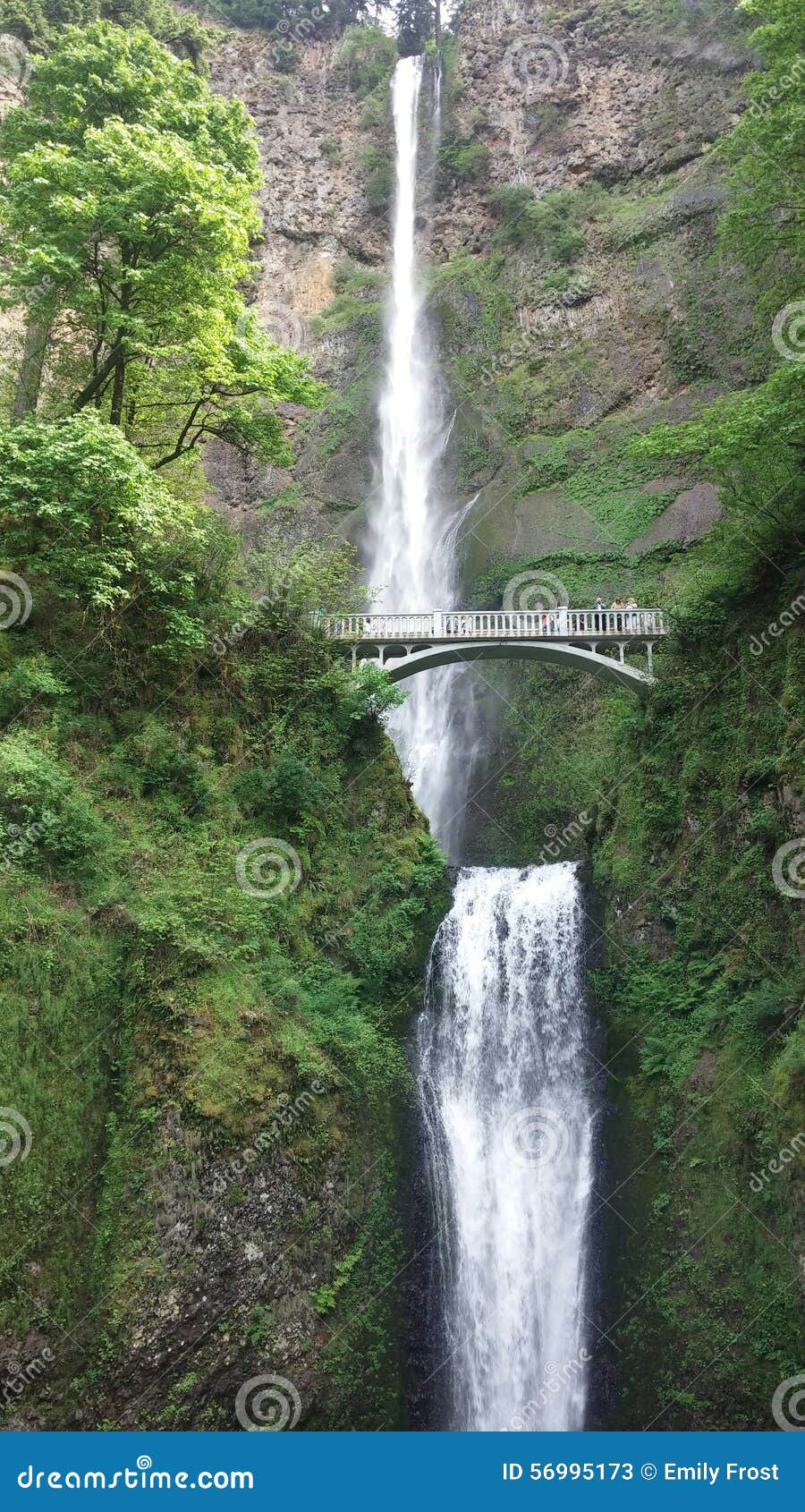 Oregon falls editorial stock photo. Image of falls, waterfall - 56995173