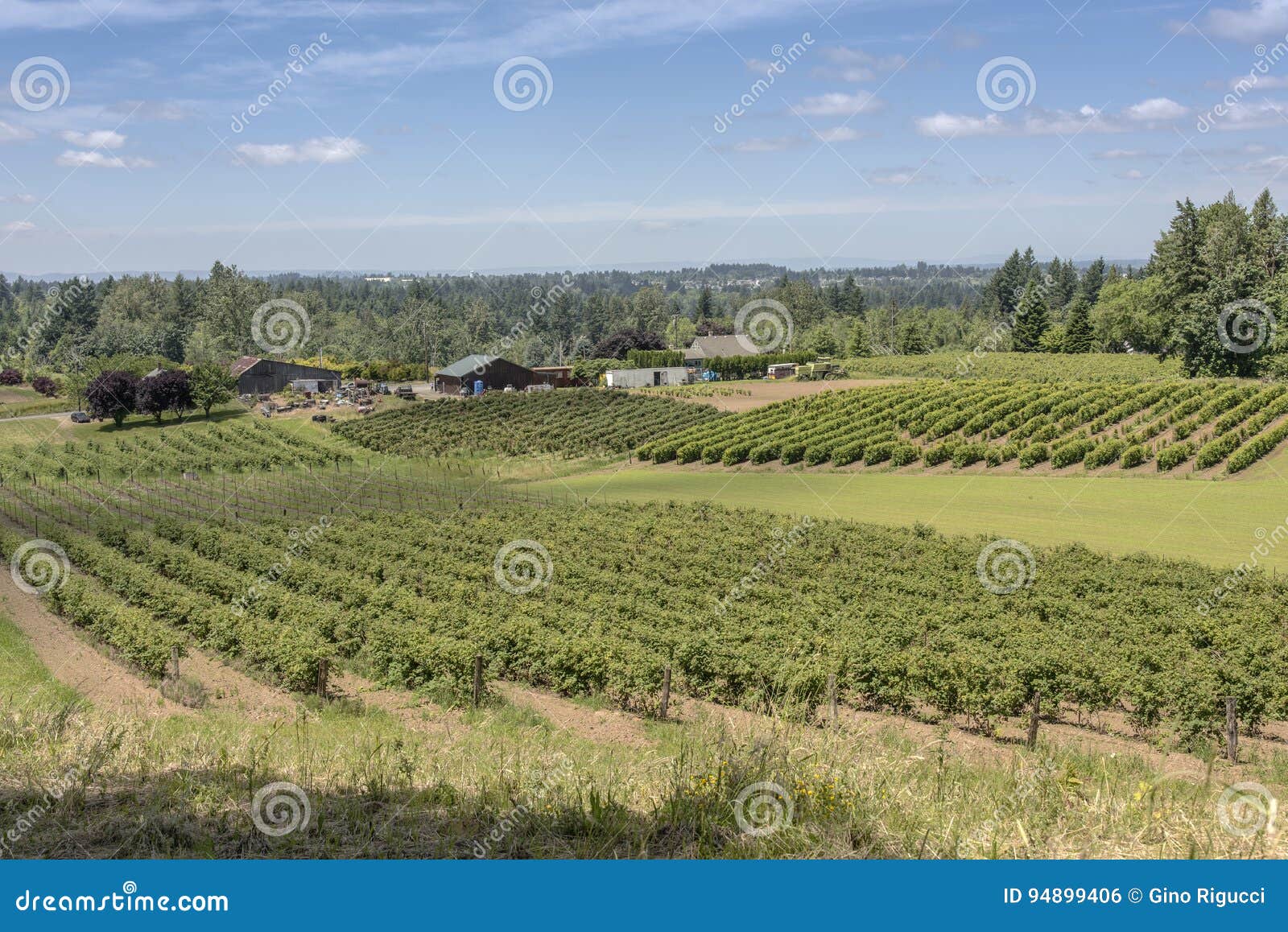 Oregon Farms Fields and Landscape. Stock Photo - Image of summer ...