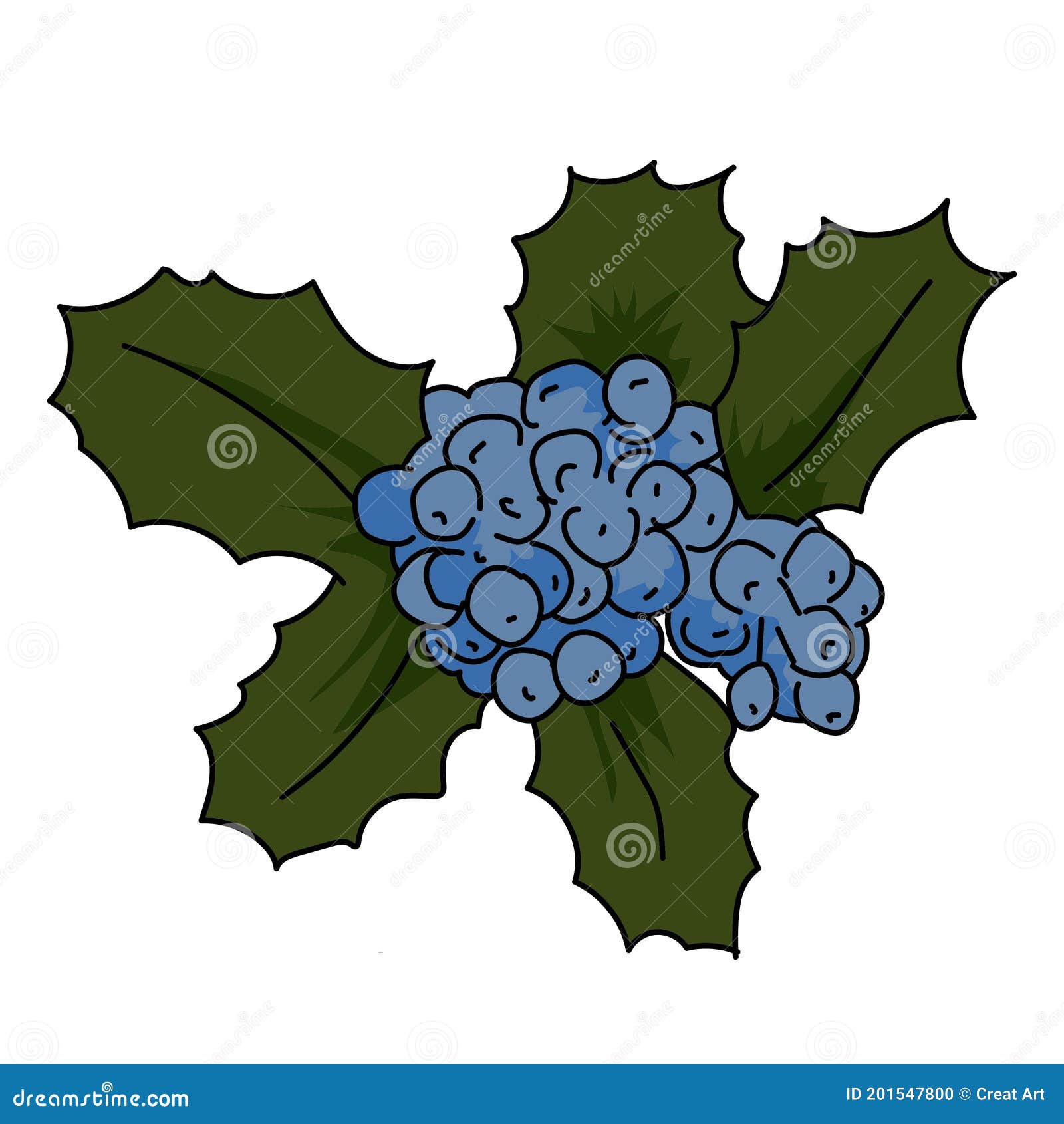 Oregon Grape Hand Drawn Pencil Illustration. Mahonia Aquifolium For ...