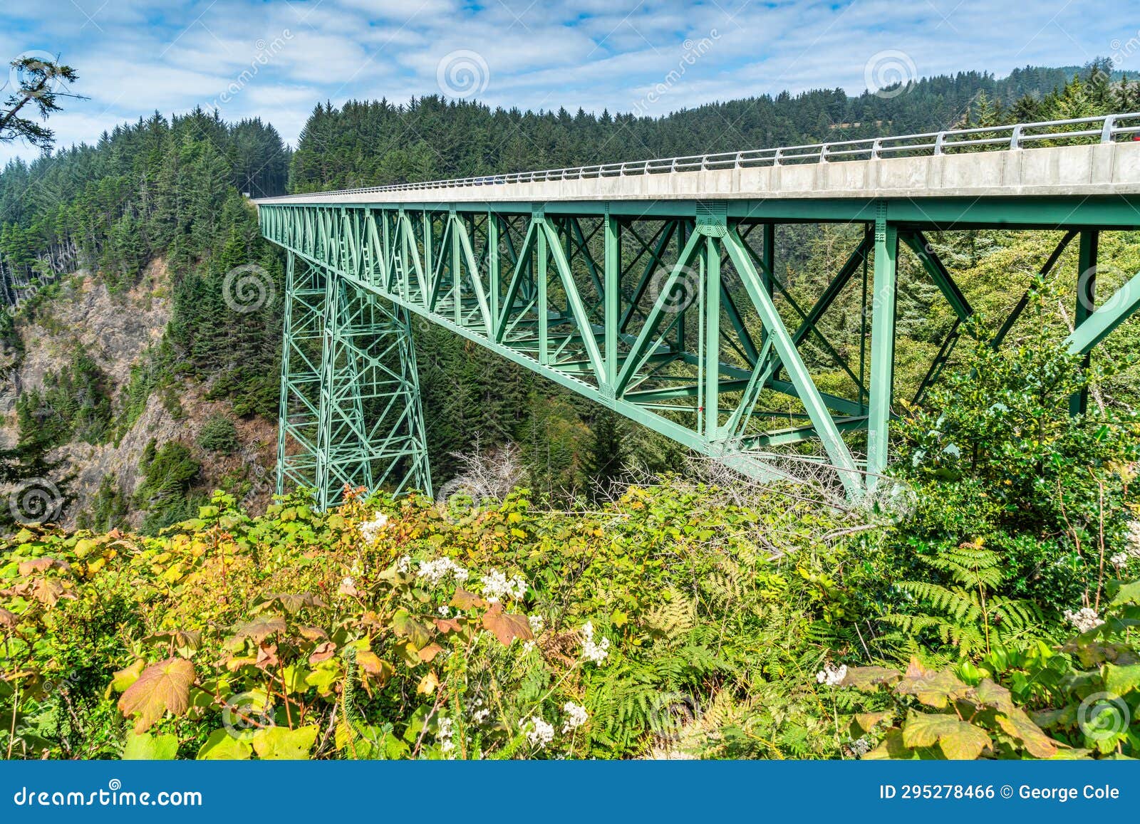 Oregon Highway 101 Bridge stock photo. Image of northwest - 295278466