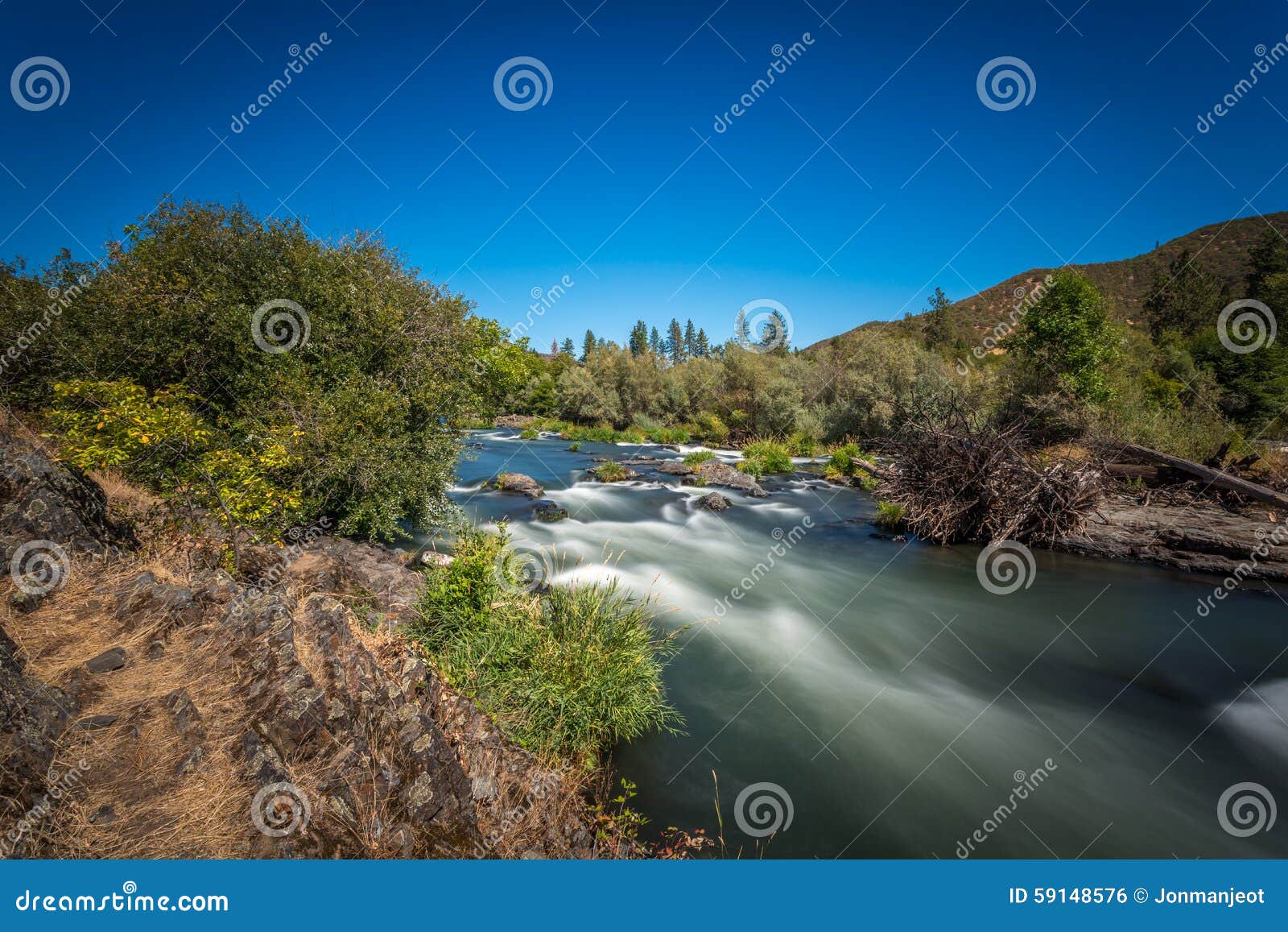 Oregon Landscapes and Scenery Stock Photo - Image of beach, forest ...