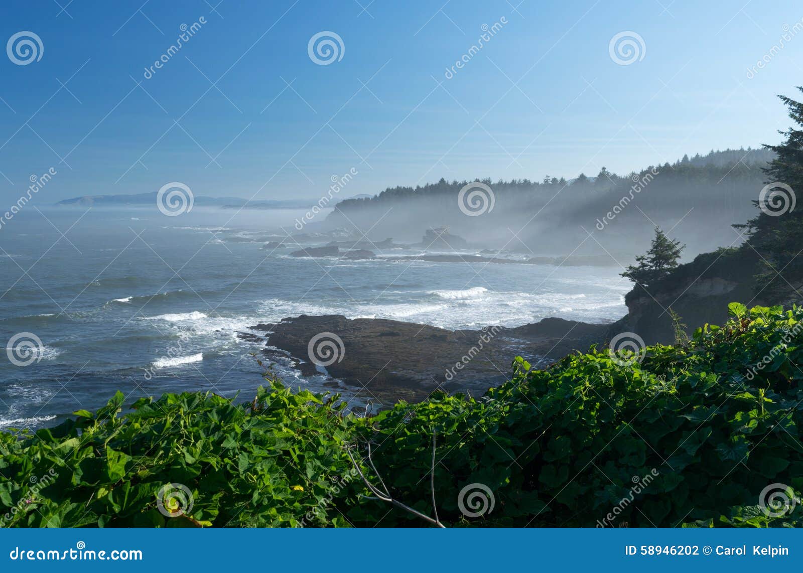 Oregon lookout stock photo. Image of northwest, morning - 58946202