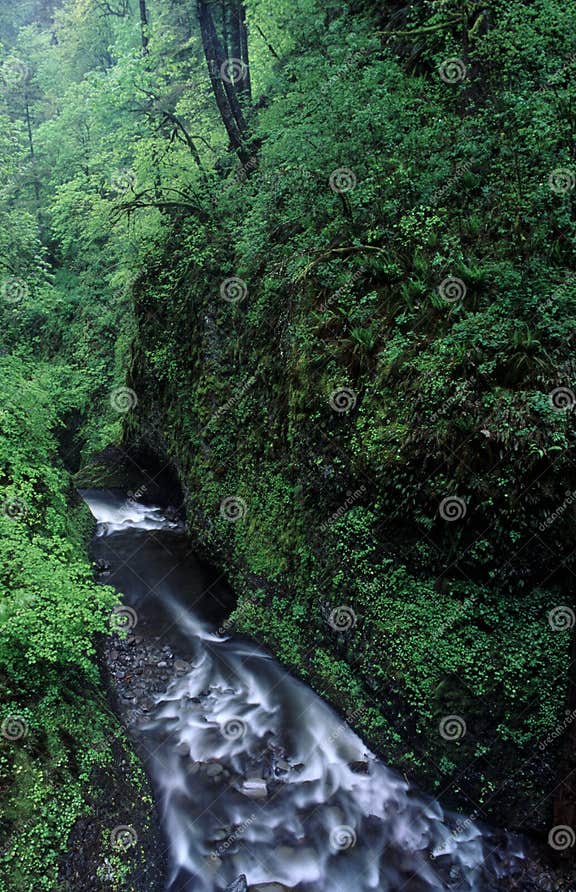 Oregon portraits stock photo. Image of pure, water, oregon - 1636888