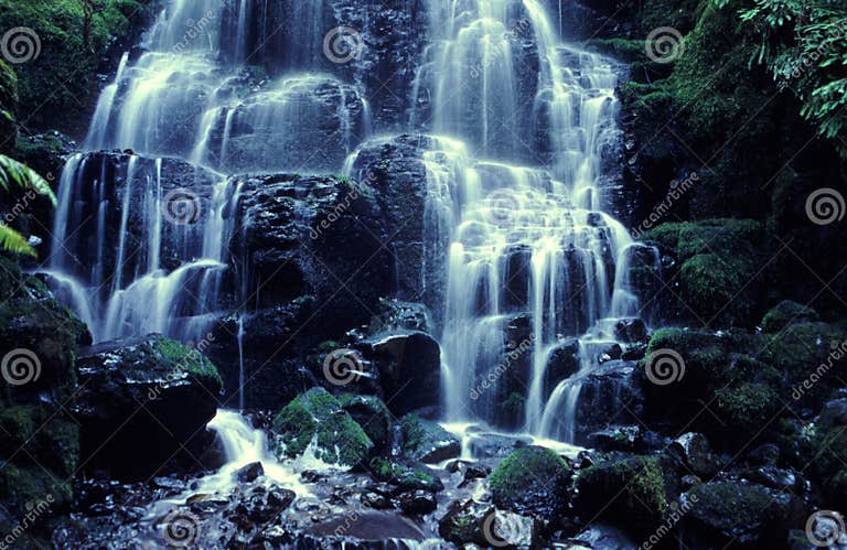 Oregon portraits stock photo. Image of explore, tourism - 1992224