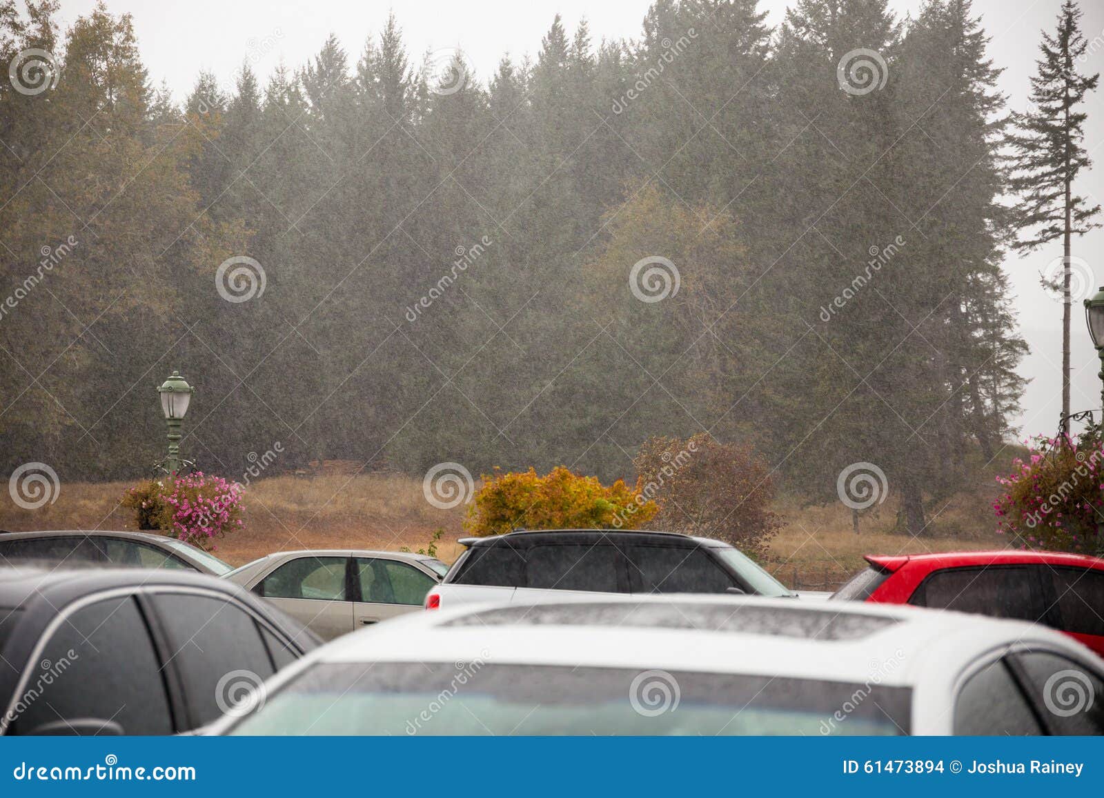 Oregon Rain Storm Weather stock photo. Image of wedding - 61473894