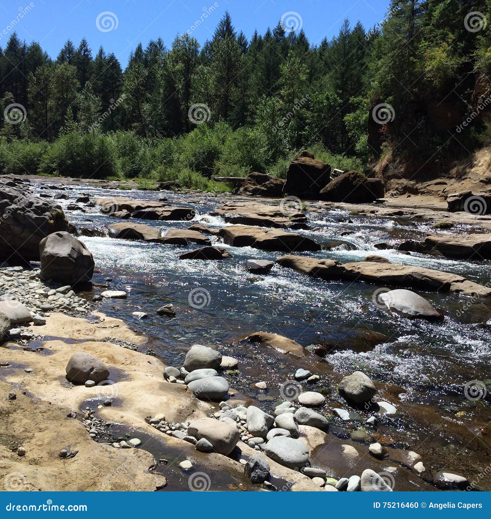 Oregon Rivers stock photo. Image of oregon, coast, rivers - 75216460
