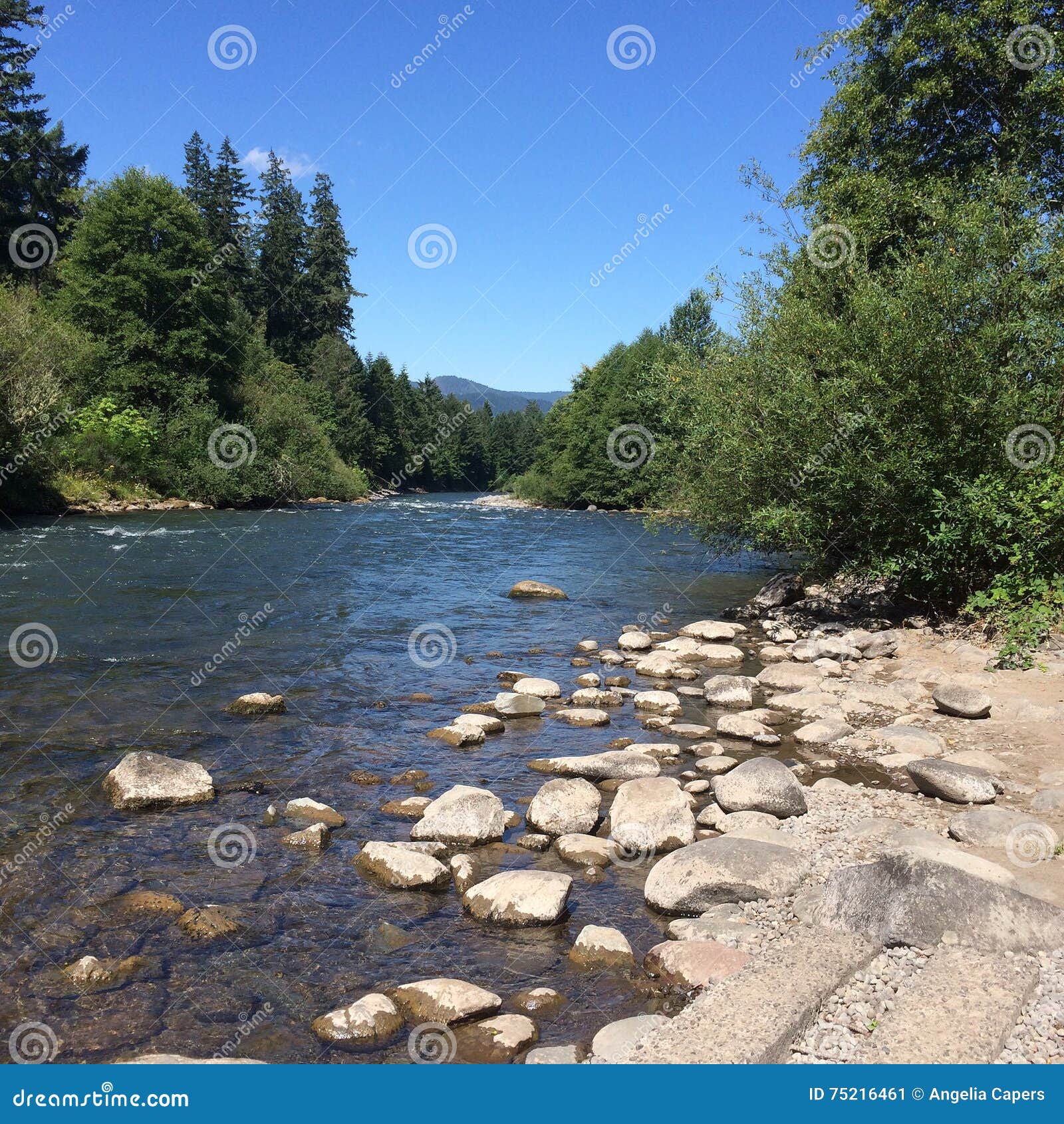 Oregon Rivers stock image. Image of rapid, tributary - 75216461
