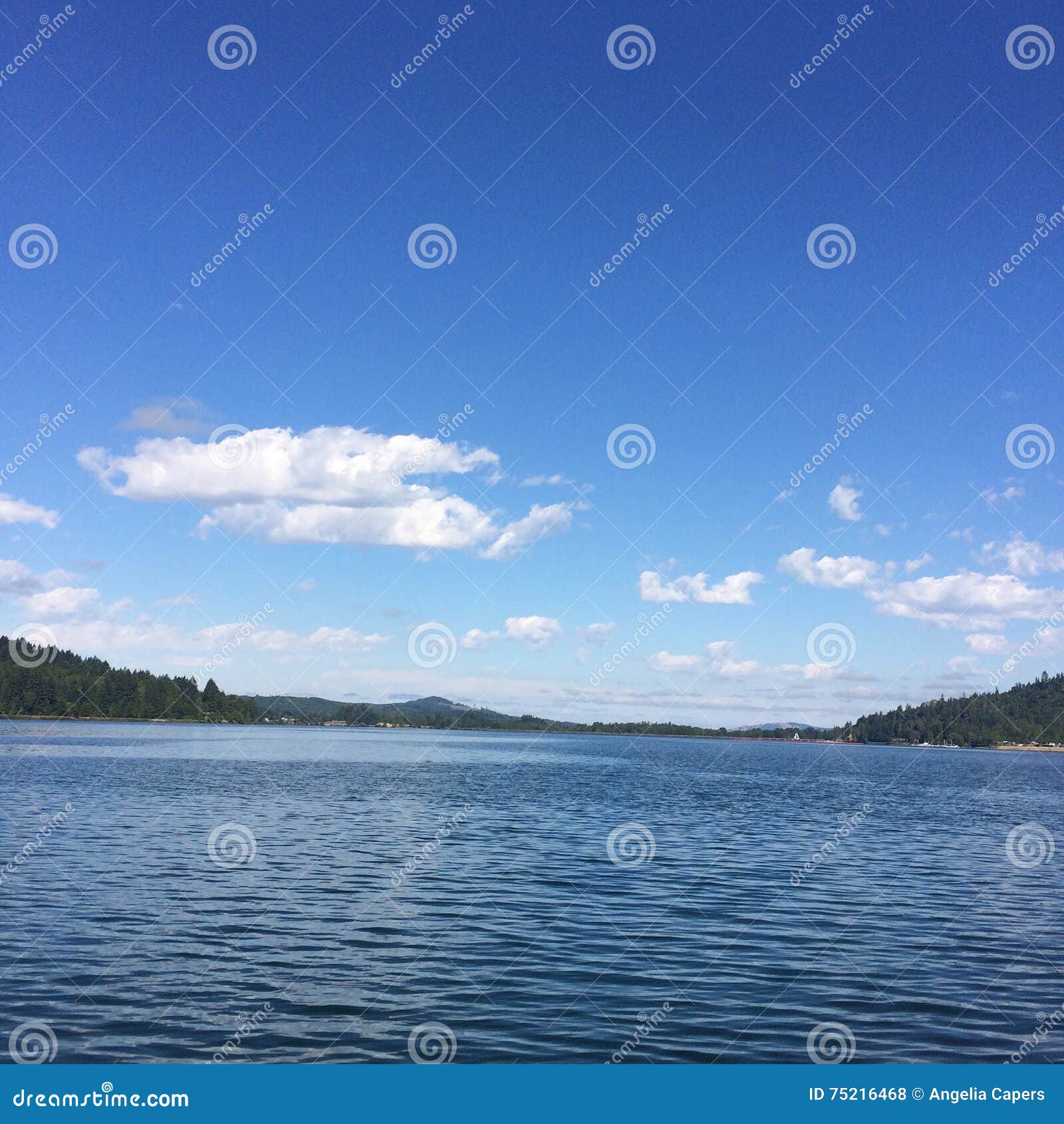 Oregon Rivers stock photo. Image of reflection, shore - 75216468