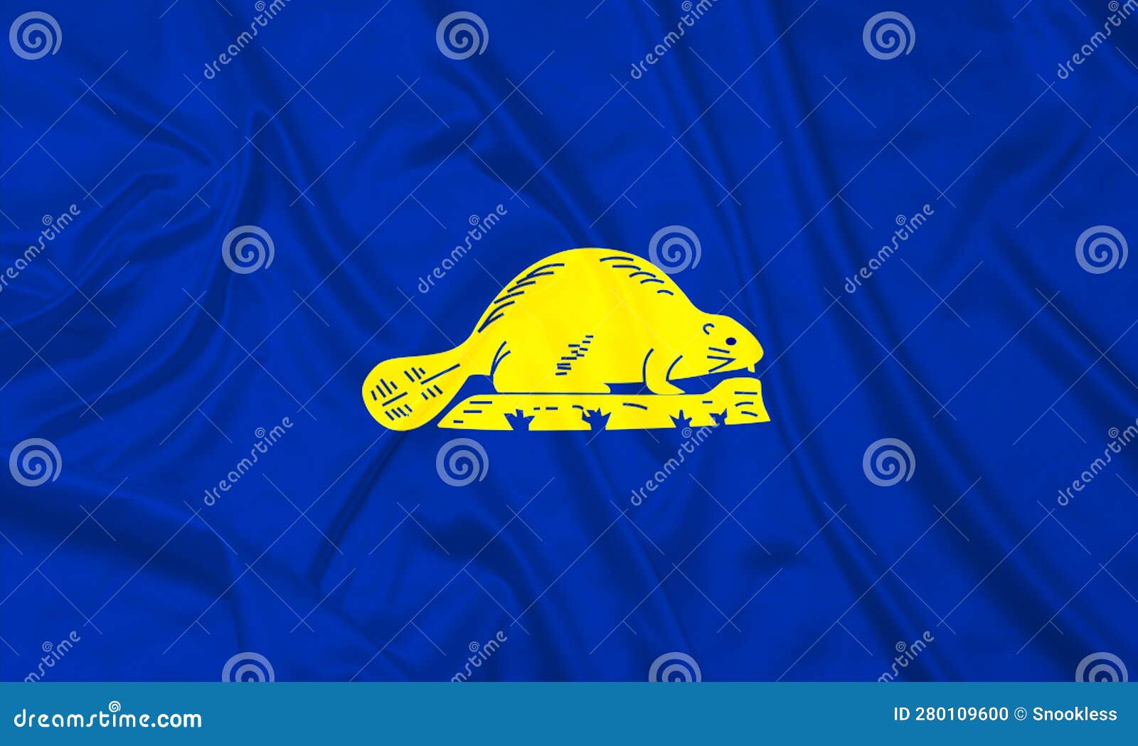 Oregon State Silk Flag - Reverse Stock Photo - Image of independent ...