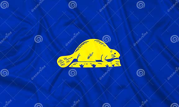 Oregon State Silk Flag - Reverse Stock Photo - Image of independent ...