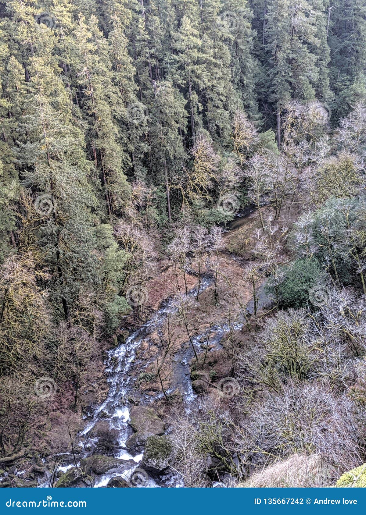 Oregon streams stock photo. Image of streams, stream - 135667242