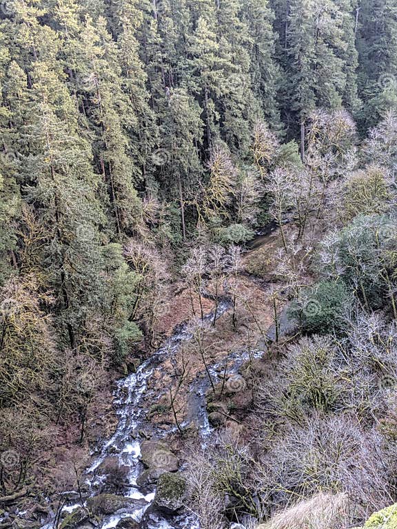 Oregon streams stock photo. Image of streams, stream - 135667242