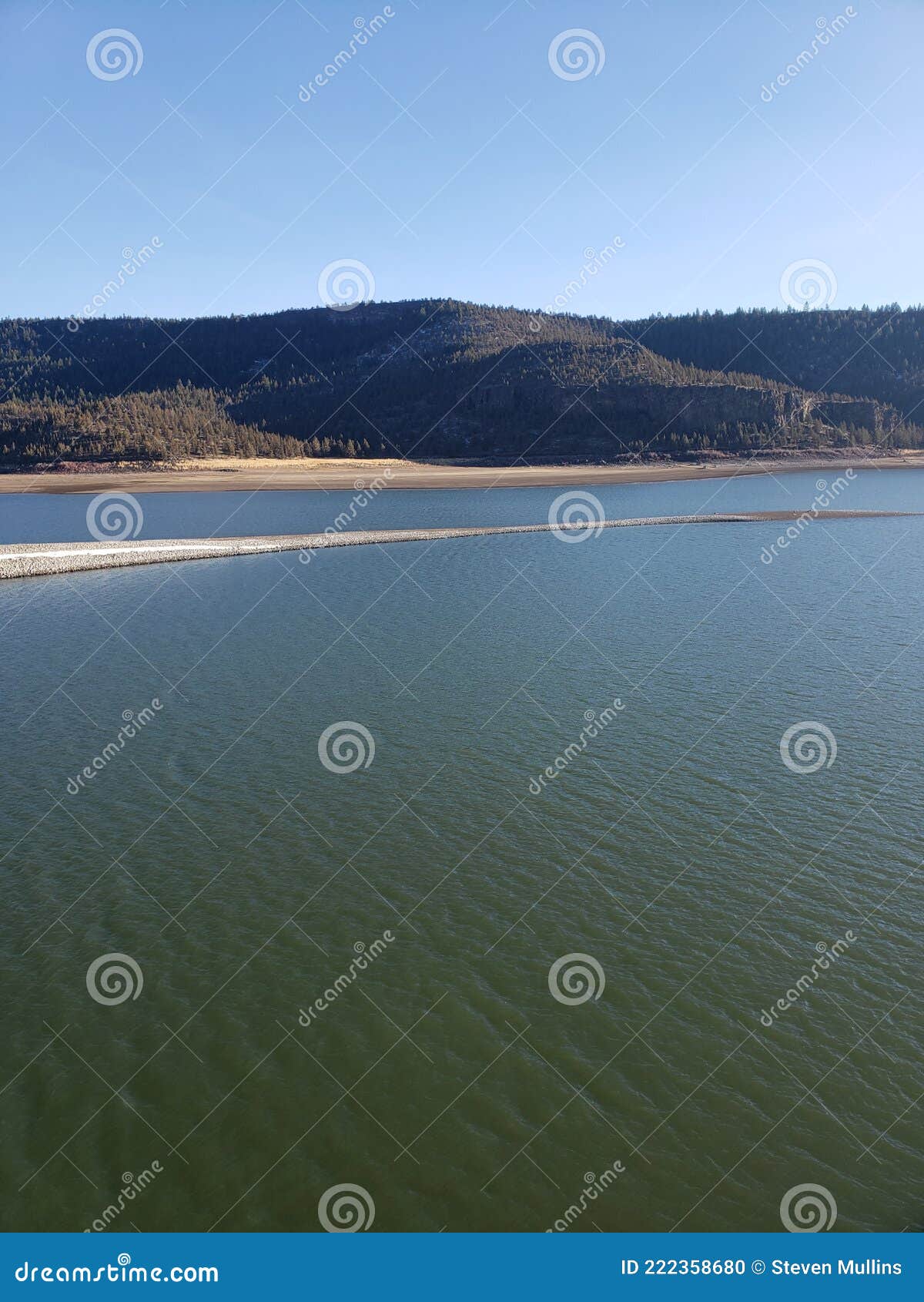 Oregon Vacation stock photo. Image of plant, tree, oregon - 222358680