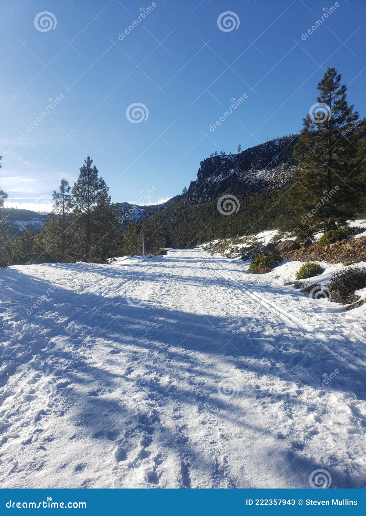 Oregon Vacation stock image. Image of rock, sunlight - 222357943