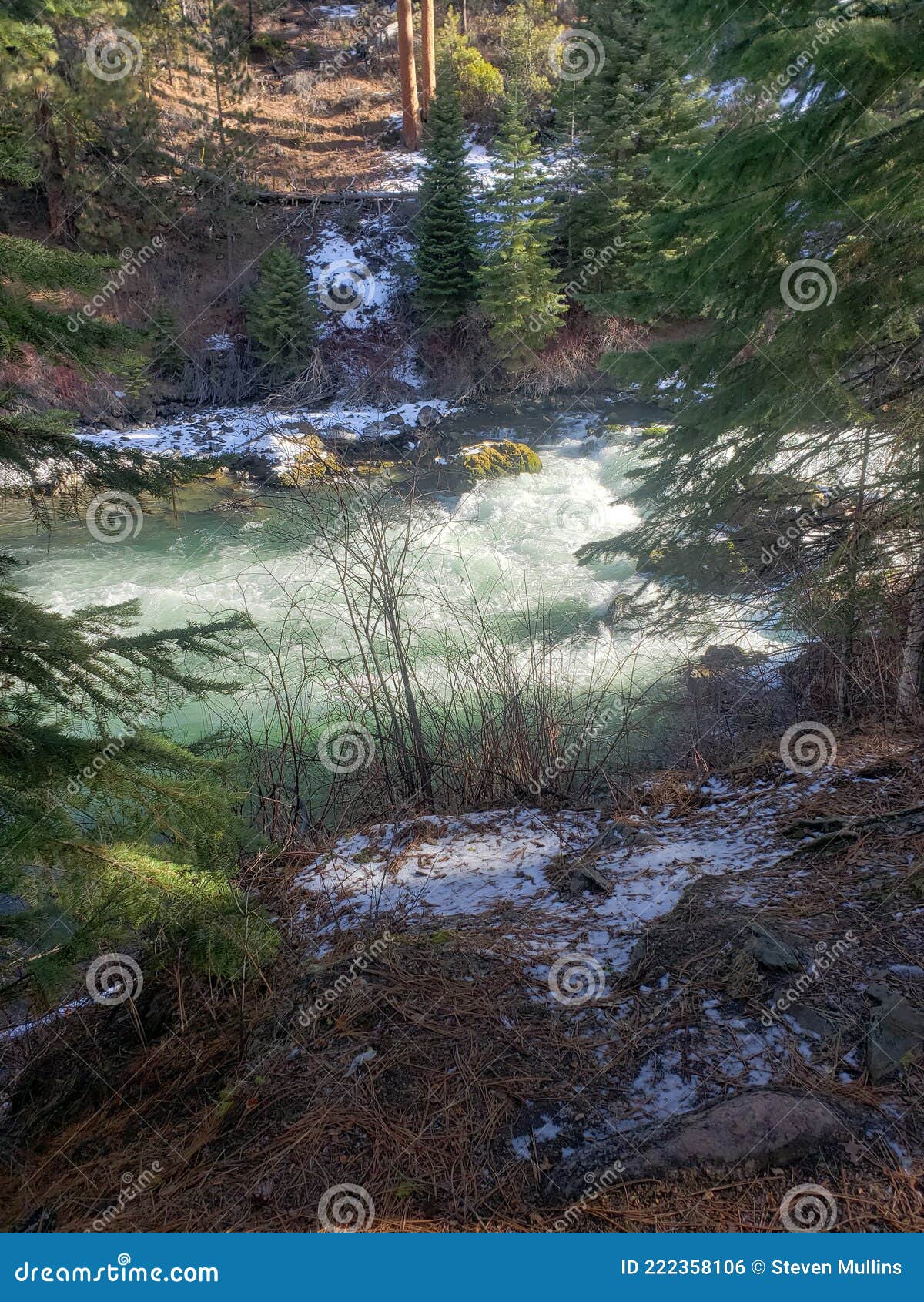 Oregon Vacation stock photo. Image of branch, water - 222358106