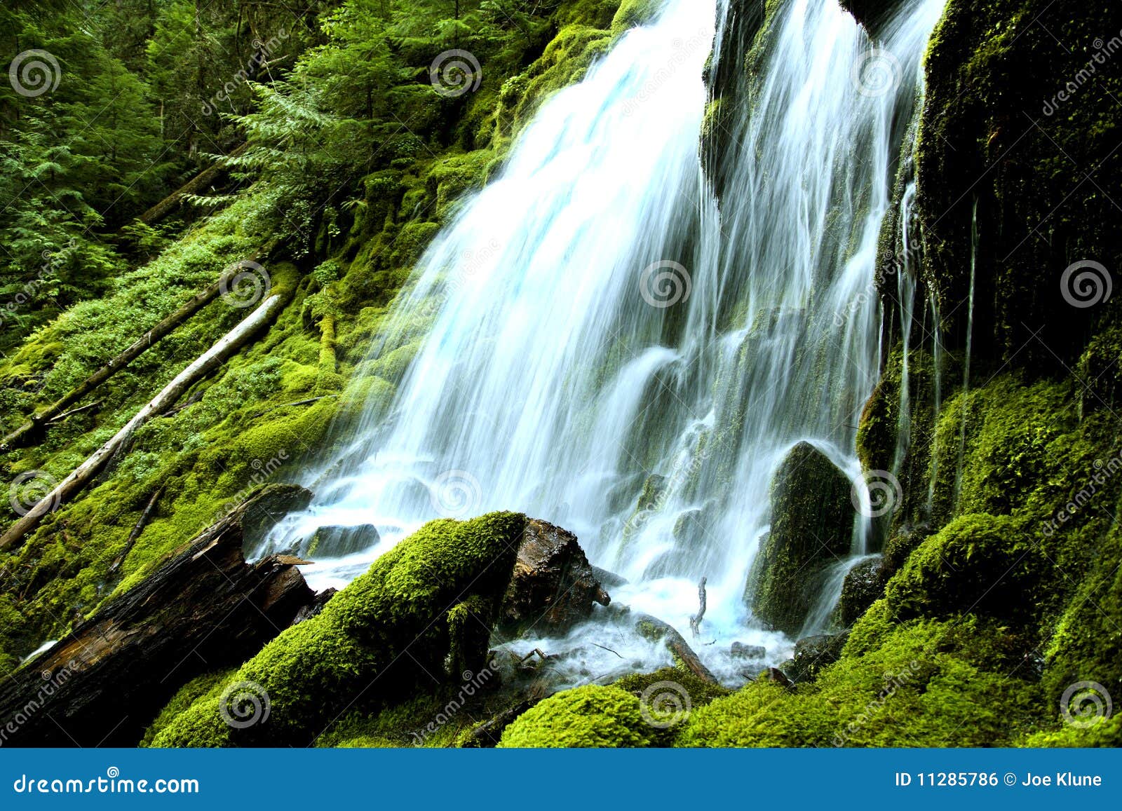 Oregon water fall stock photo. Image of outdoors, beautiful - 11285786