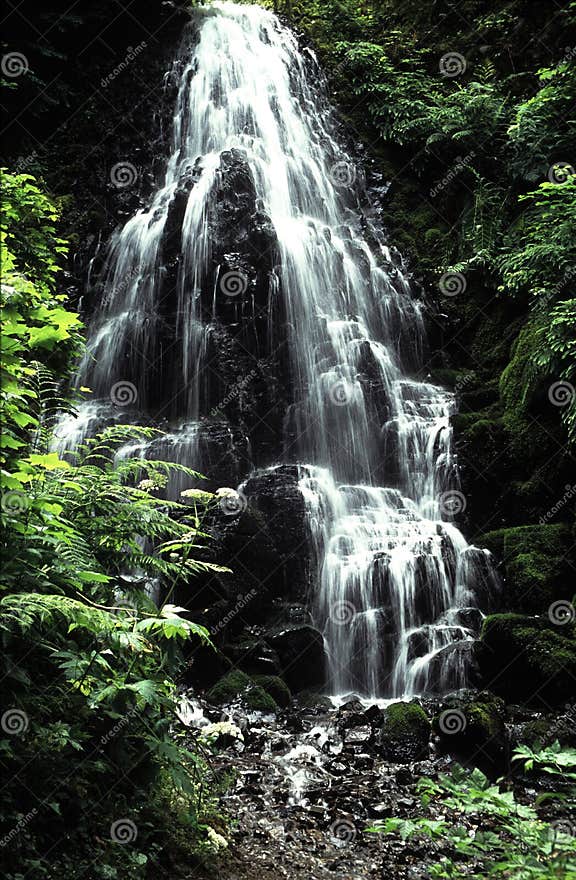Oregon waterfall stock image. Image of columbia, natural - 1572987