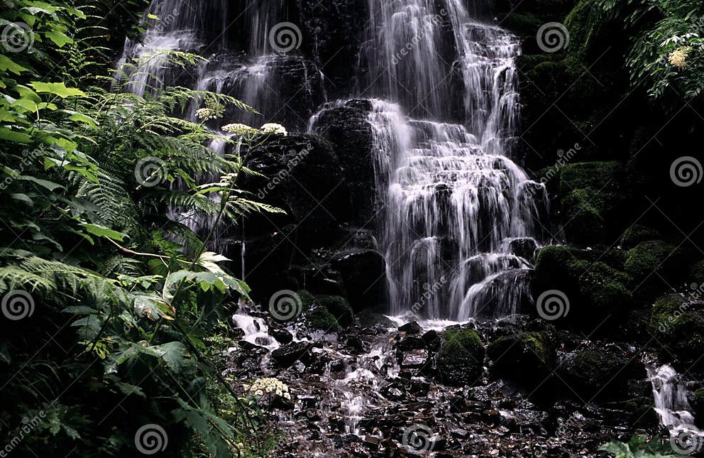 Oregon waterfall stock photo. Image of outdoors, gorge - 1573012