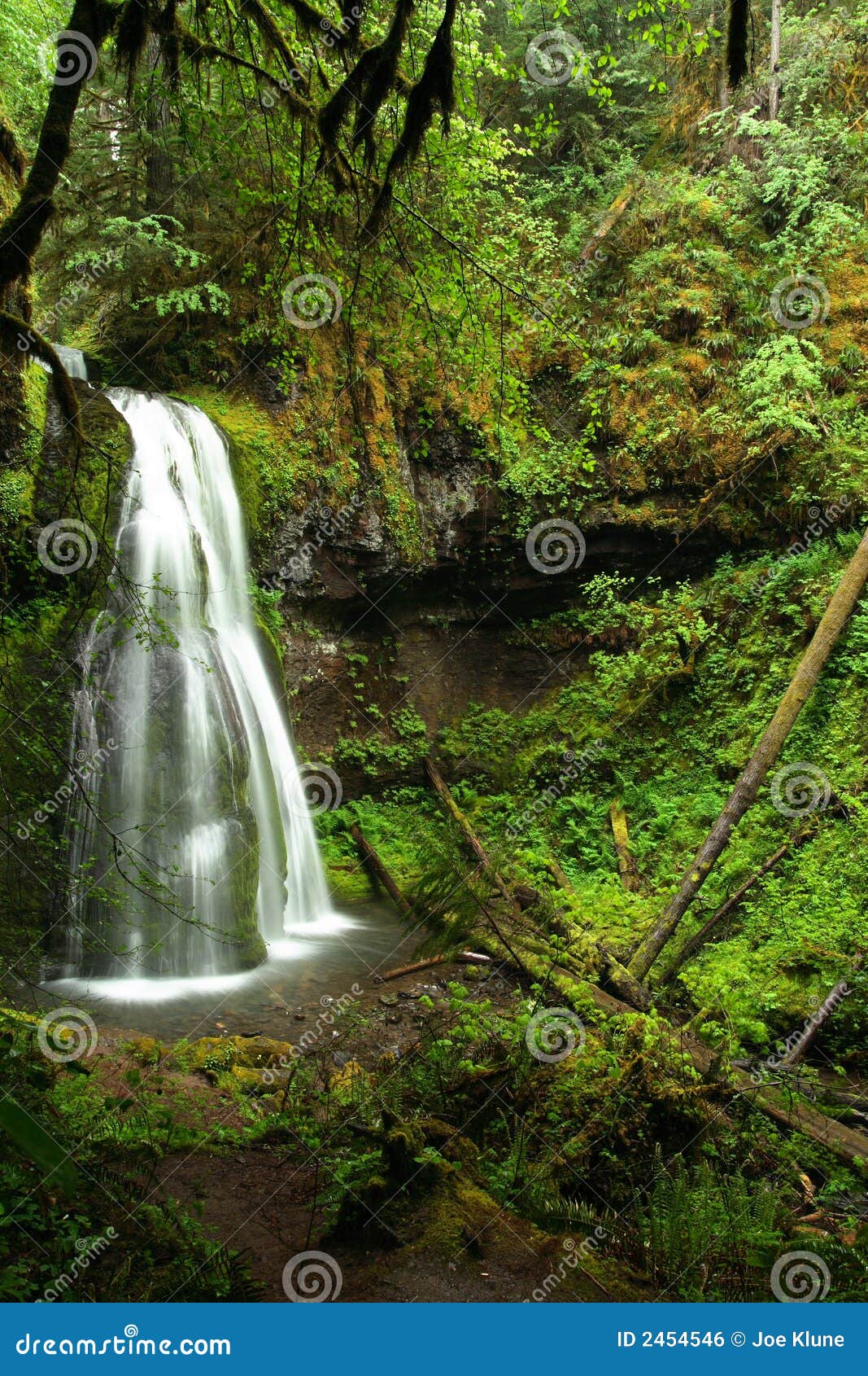 Oregon waterfall stock photo. Image of green, moss, chlorophyll - 2454546