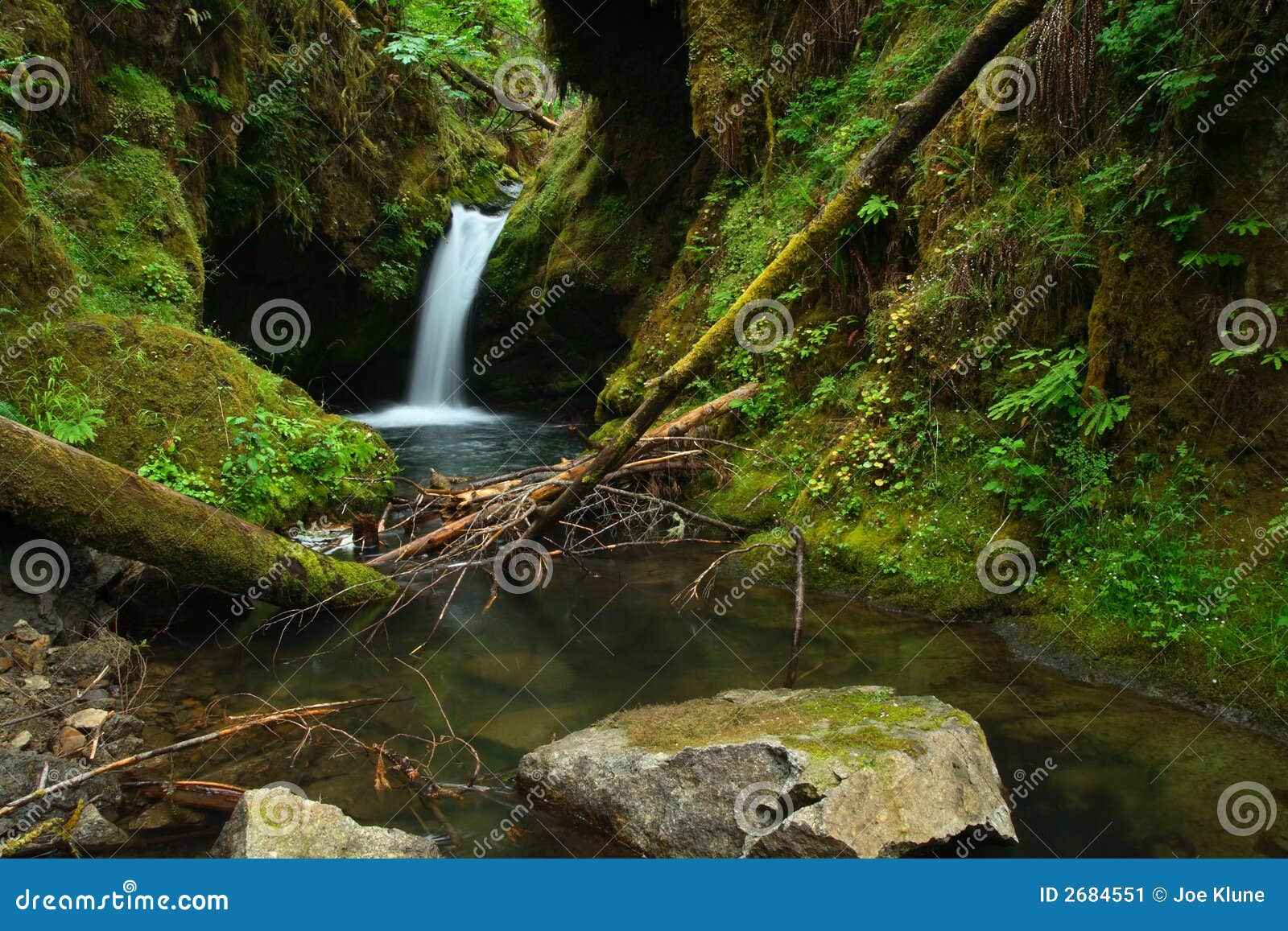 Oregon waterfall stock image. Image of branches, moss - 2684551