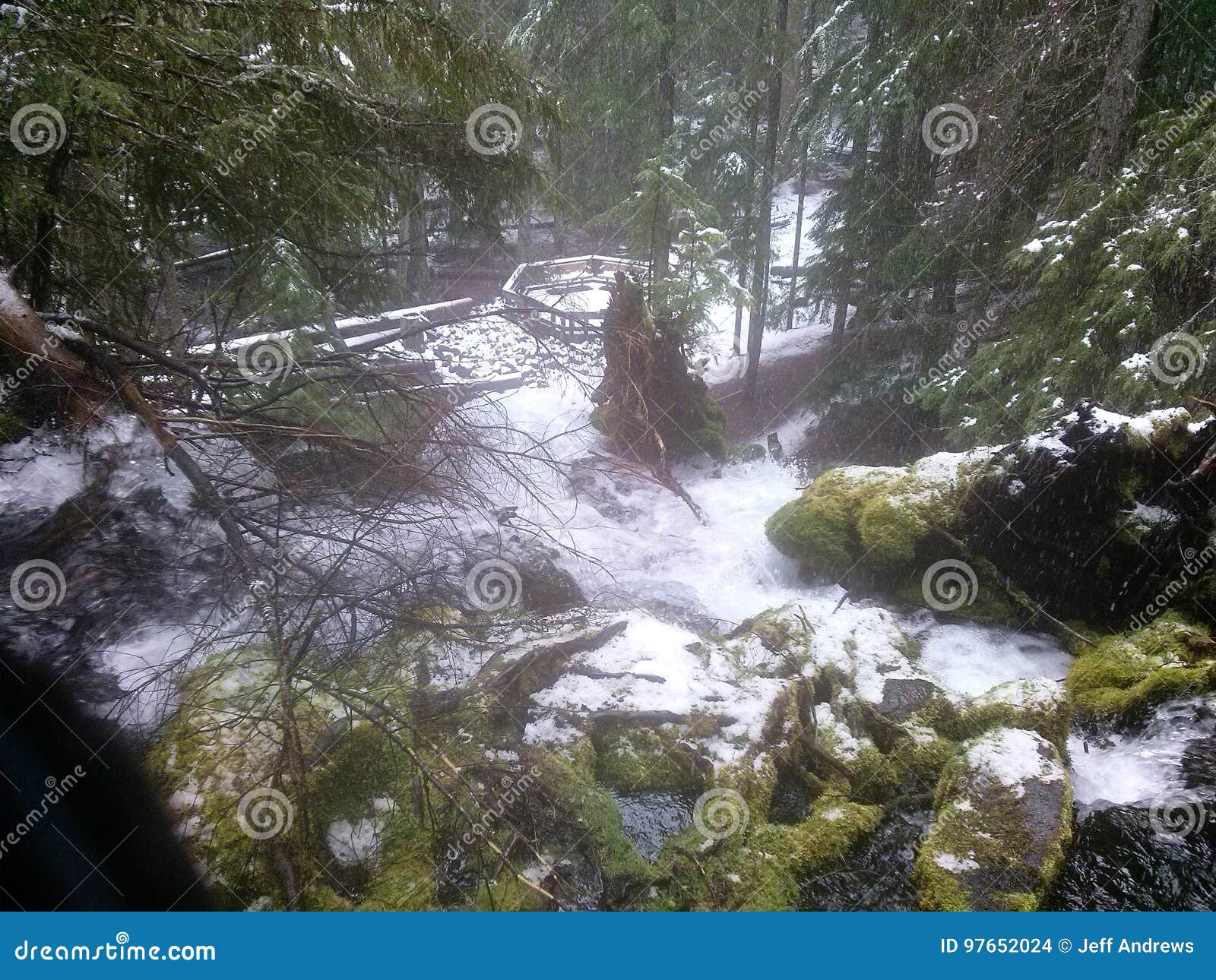 Oregon Winter stock photo. Image of beautiful, snowy - 97652024