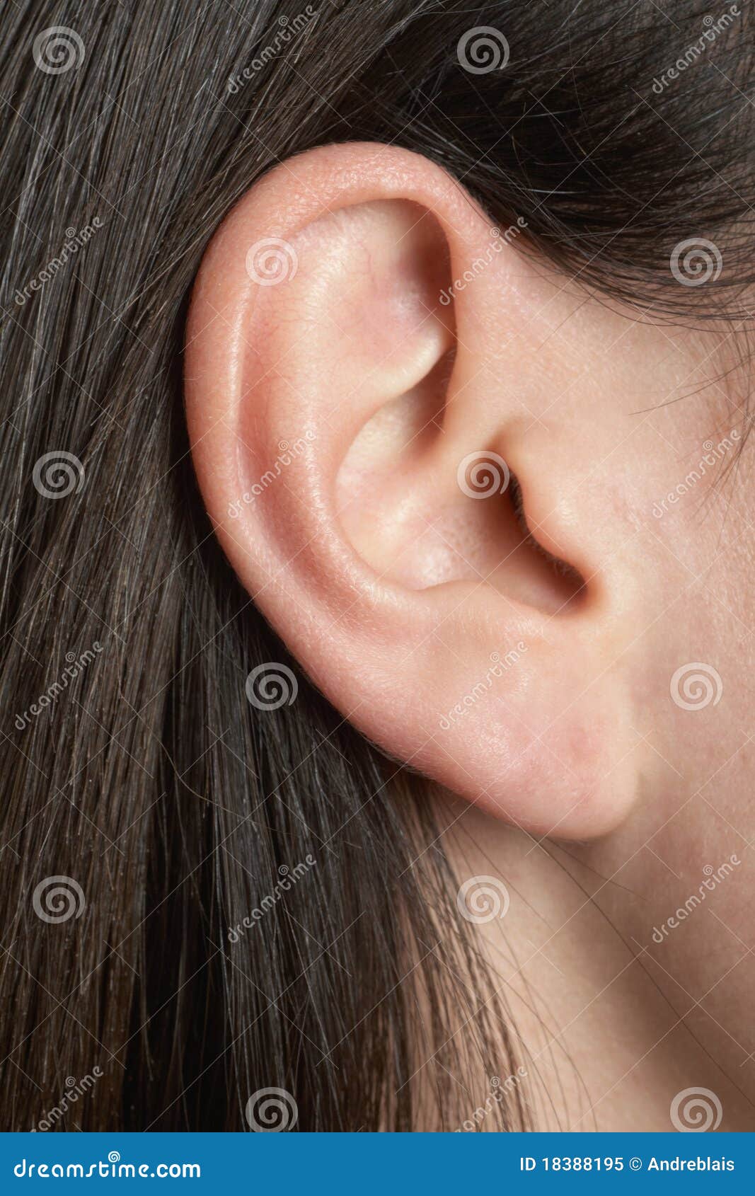 Oreille image stock. Image du écoutez, caucasien, sain - 18388195