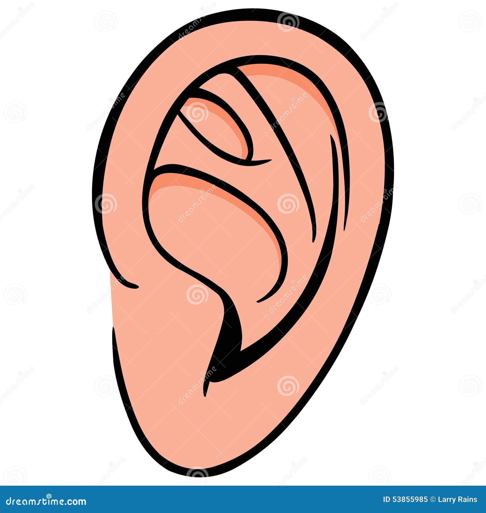 Oreille illustration de vecteur. Illustration du peinture - 53855985