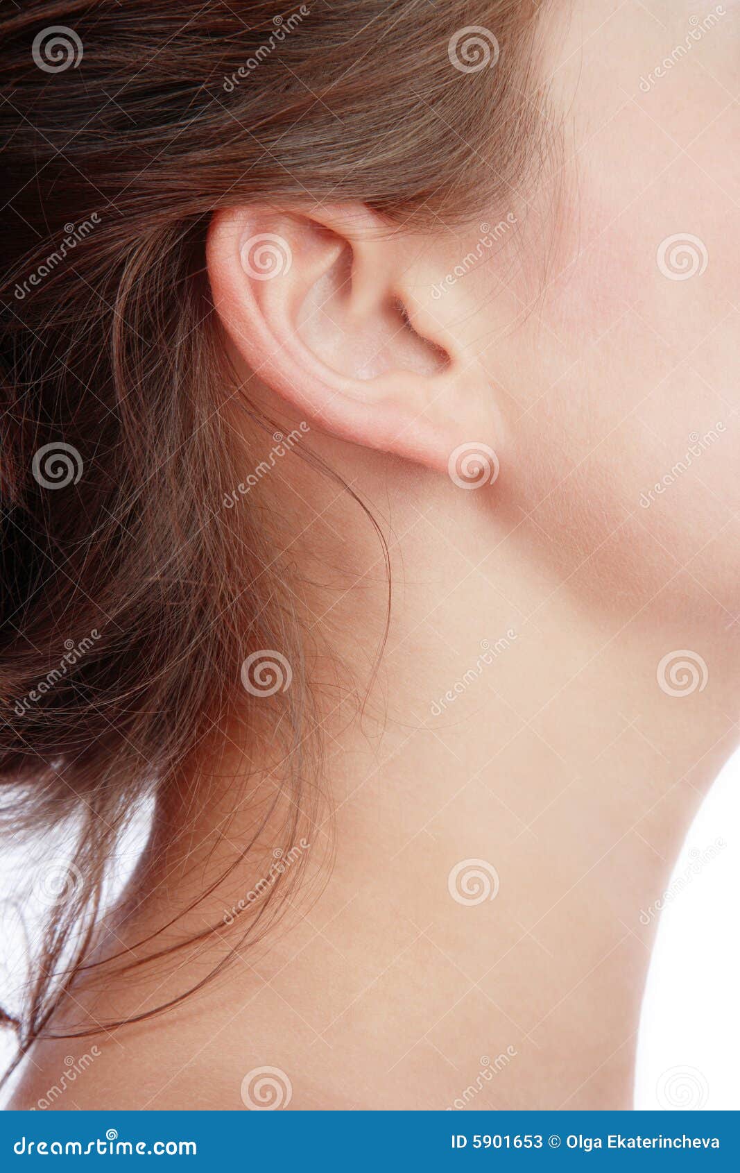 Oreille image stock. Image du femme, entendez, humain - 5901653