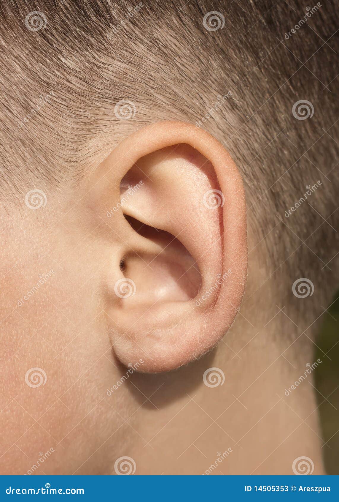 Oreille humaine image stock. Image du hommes, enfant - 14505353