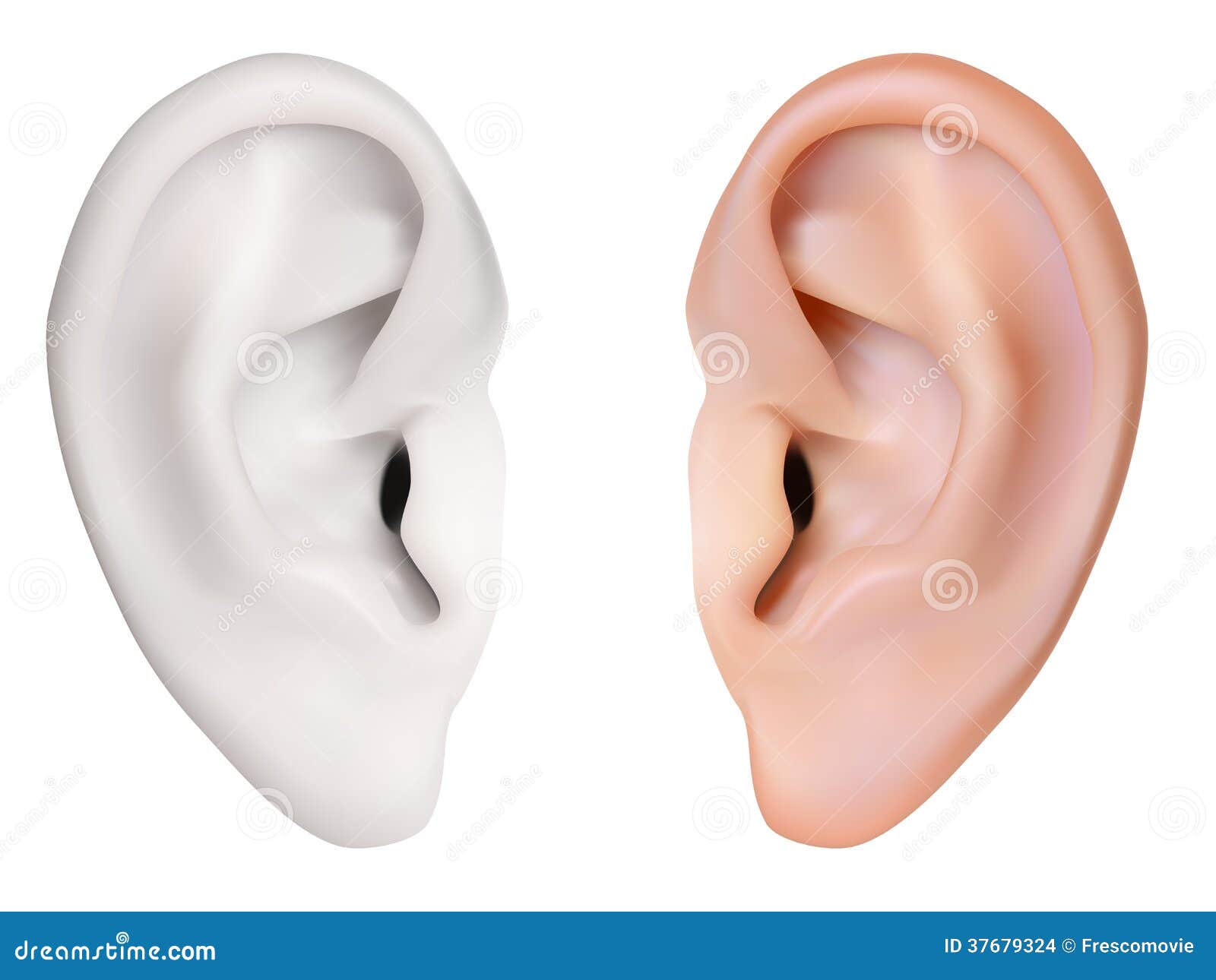 Oreille Humaine. Images stock - Image: 37679324