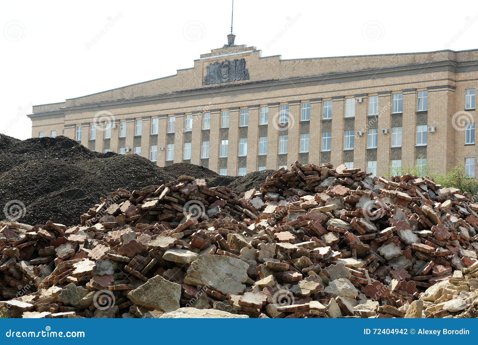 Huge Piles Of Fresh Big Size Shells Royalty-Free Stock Photo ...